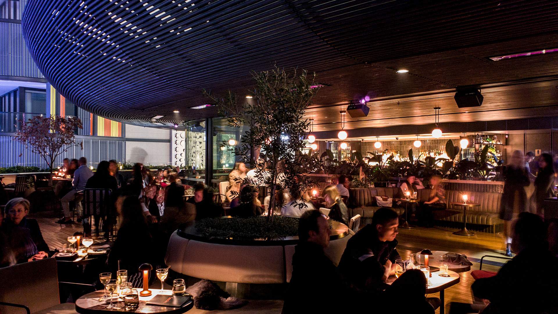 Five Bars with the Best Views of Vivid - Concrete Playground