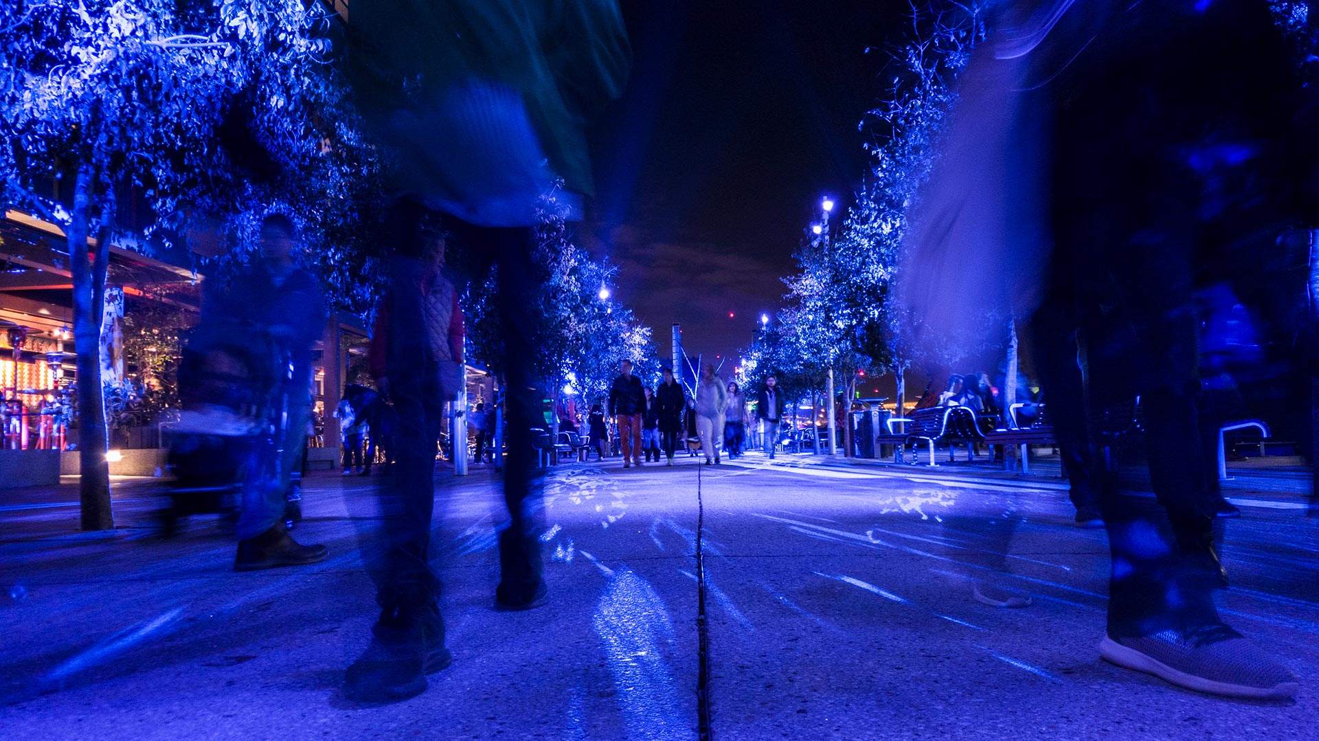 Five Hidden Gems to Seek Out at Vivid 2018 - Concrete Playground