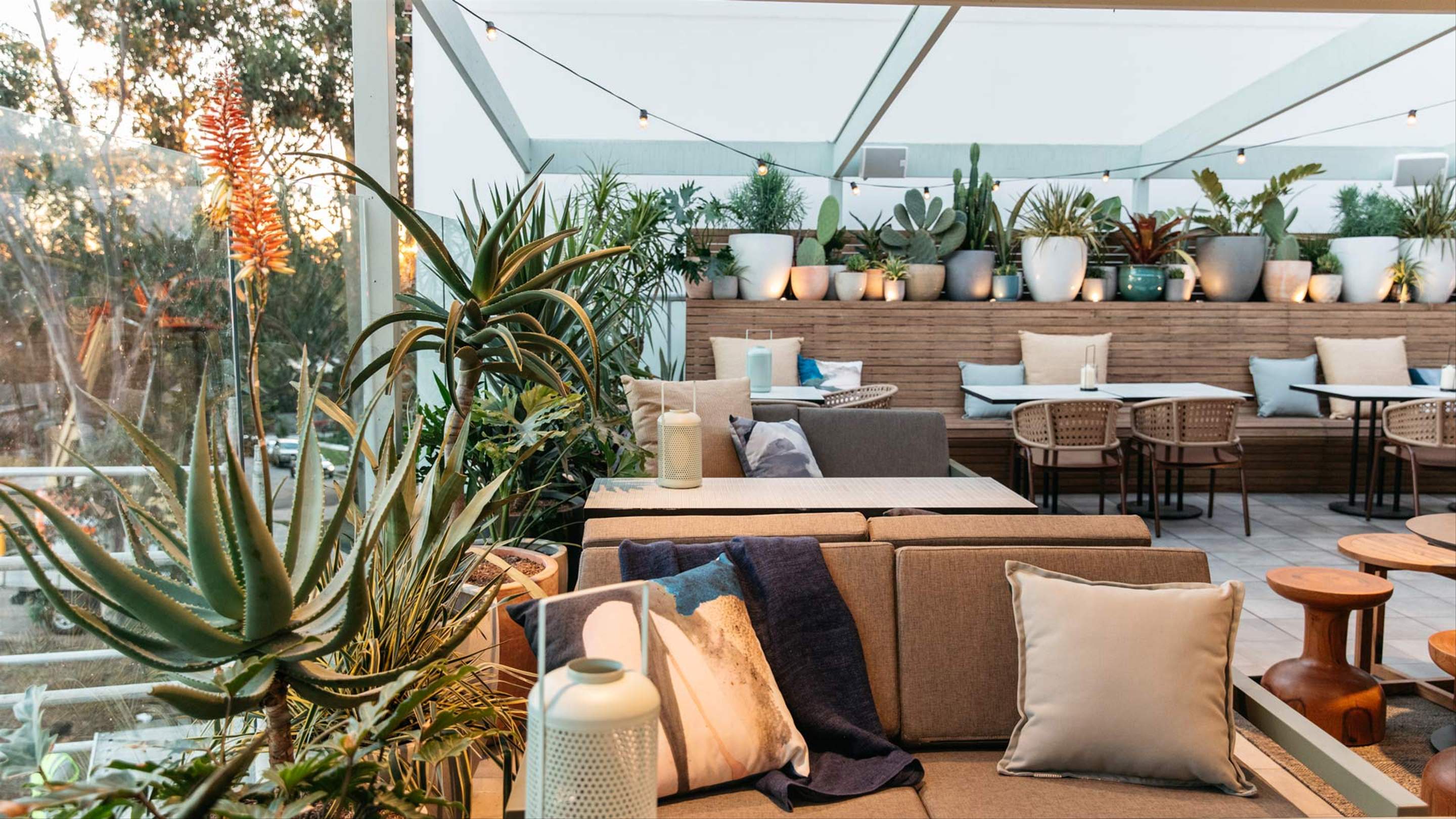 The Alcott, Lane Cove Review