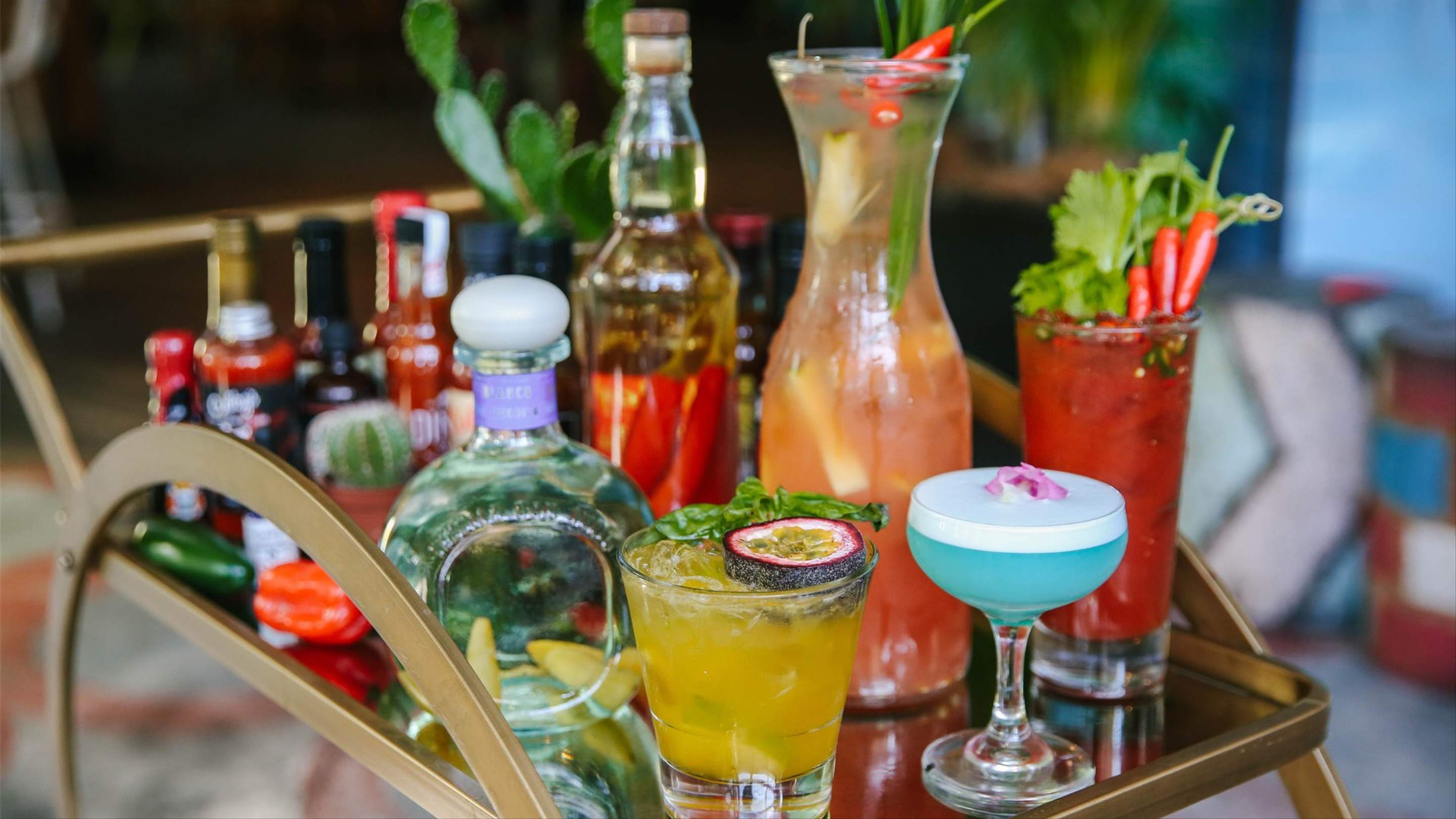 Chilli Fest 2021 - Concrete Playground