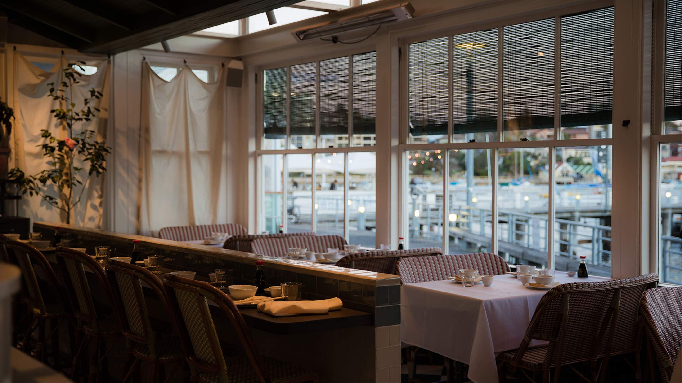 Queen Chow Manly, Manly Review