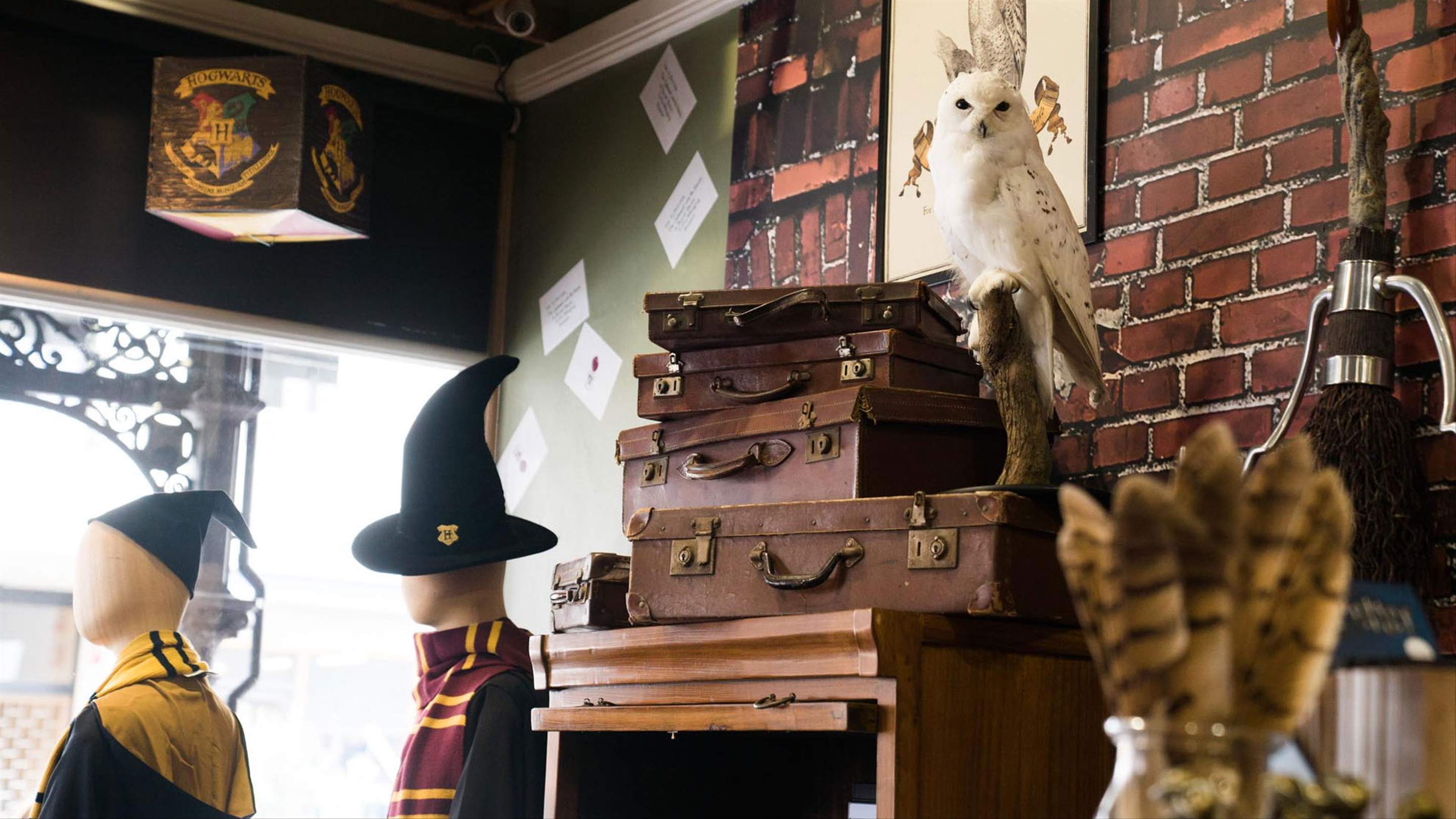 Melbourne First Dedicated 'Harry Potter' Store Is Now Open - Concrete ...