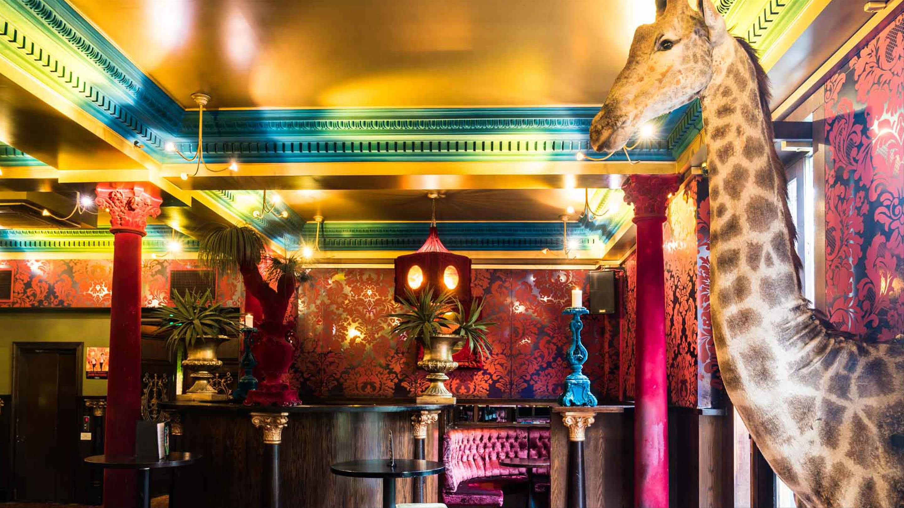 The Carlton Club, Melbourne Review