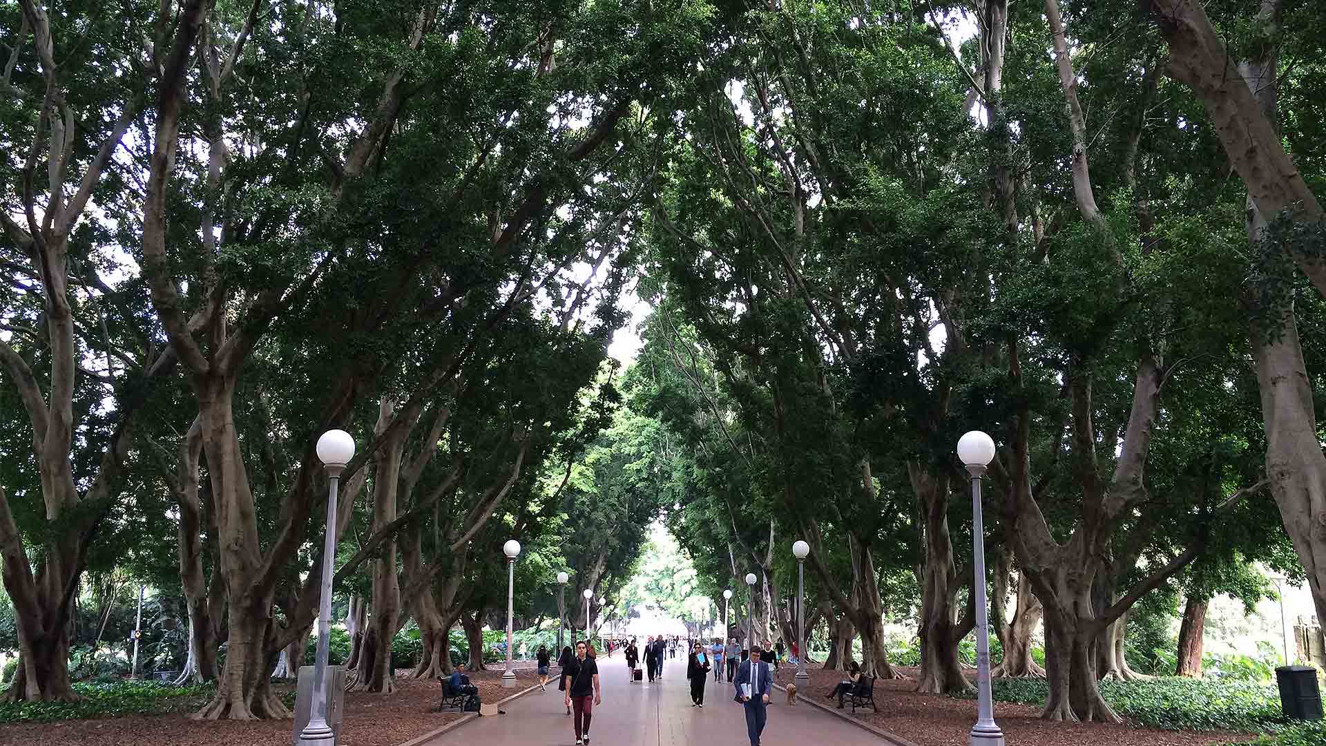 An Itinerary of Hidden Treasures from the CBD to Darlinghurst ...