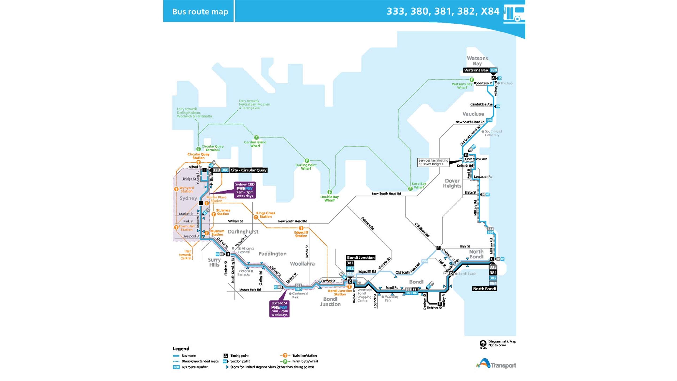 A Heap of New Bondi Beach-to-City Bus Services Have Been Added to the ...