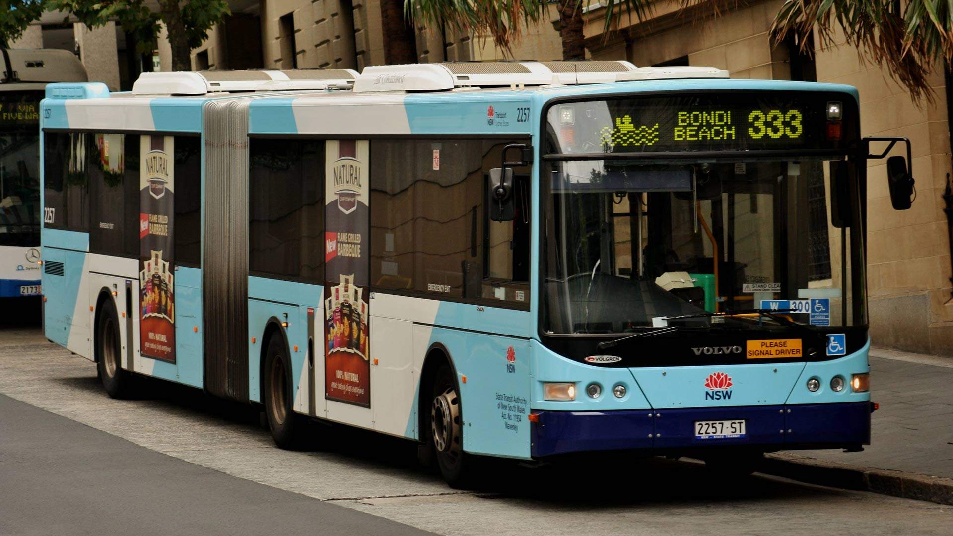A Heap Of New Bondi Beach to City Bus Services Have Been Added To The
