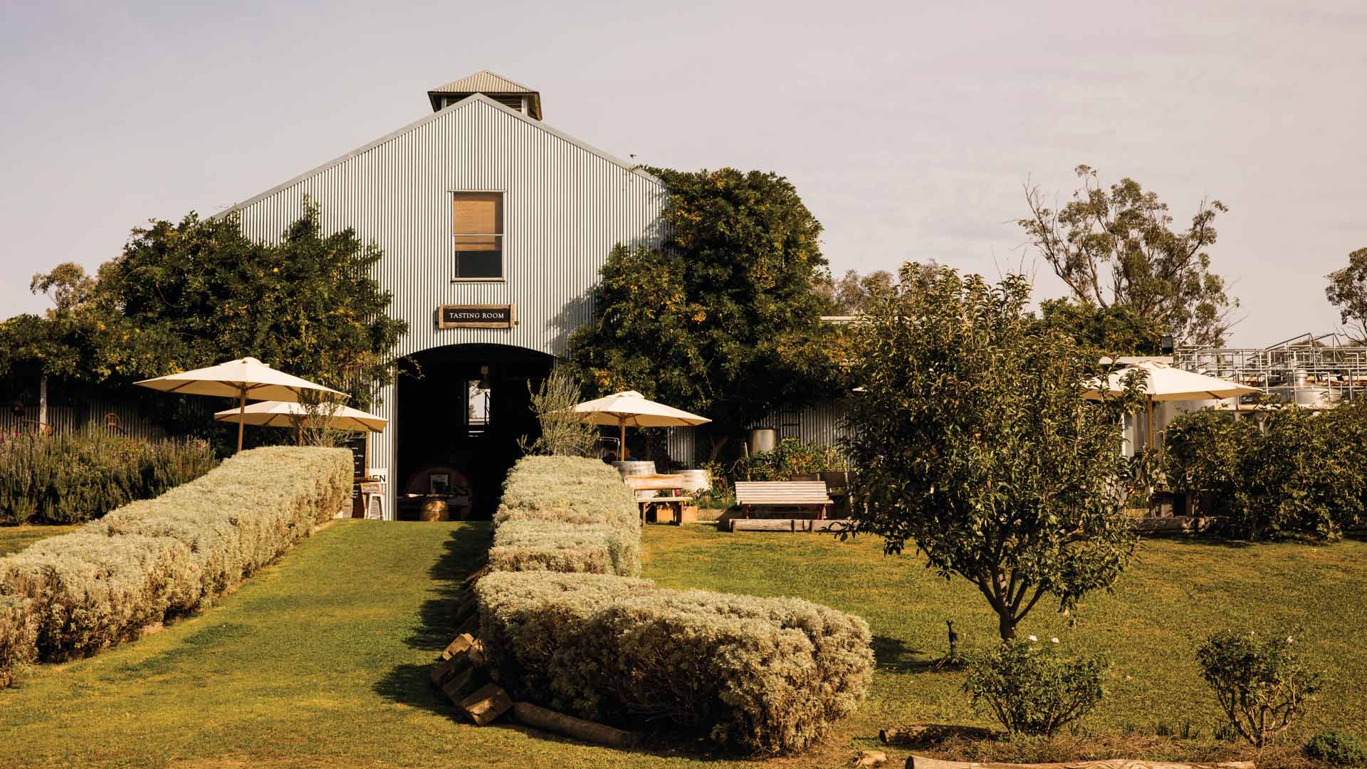 Lowe Family Wine Co, Mudgee Review