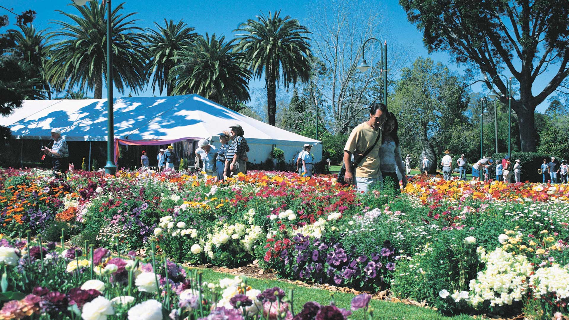 Toowoomba Carnival of Flowers 2019 - Concrete Playground