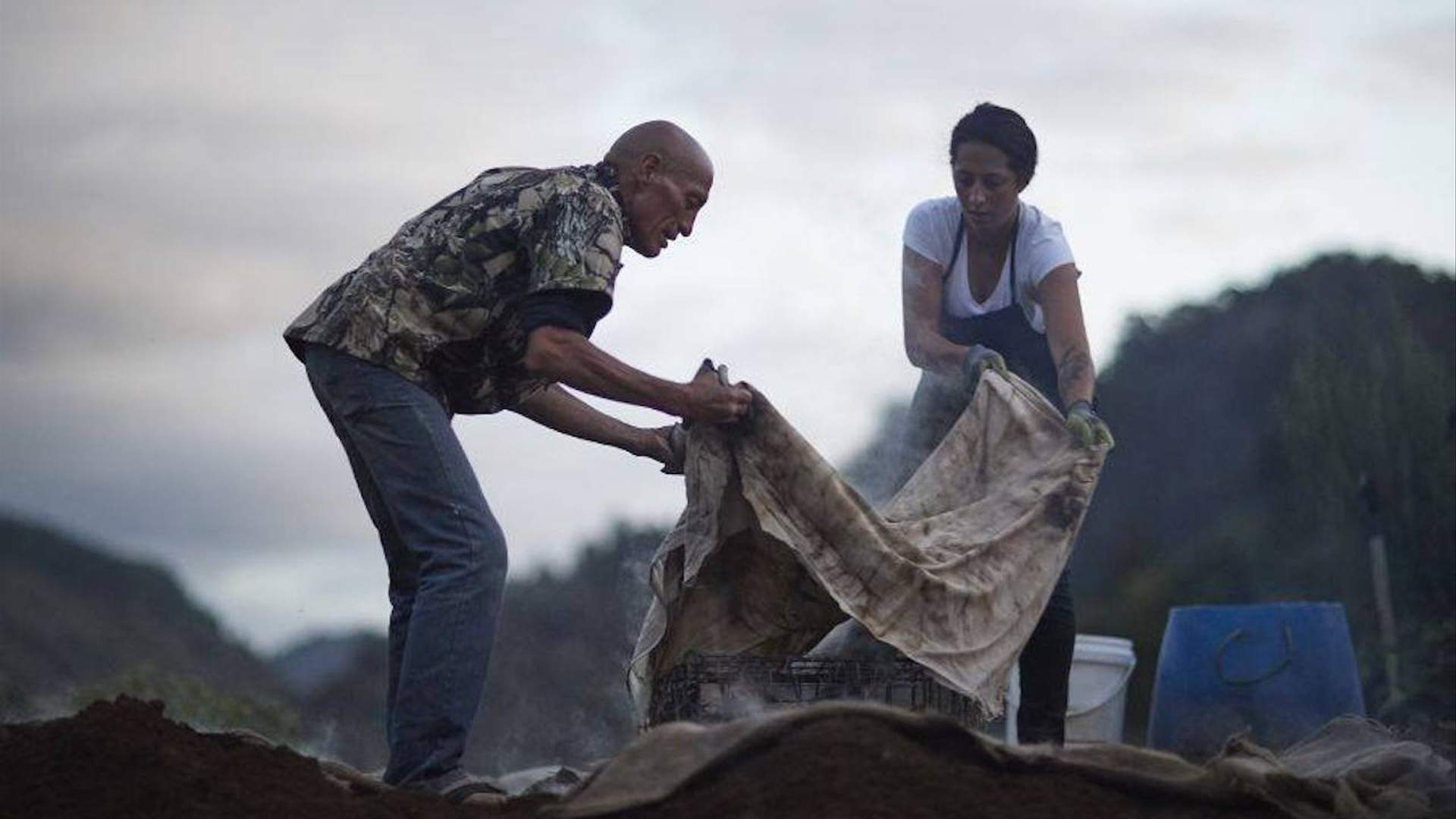 Hiakai Hangi, Wellington
