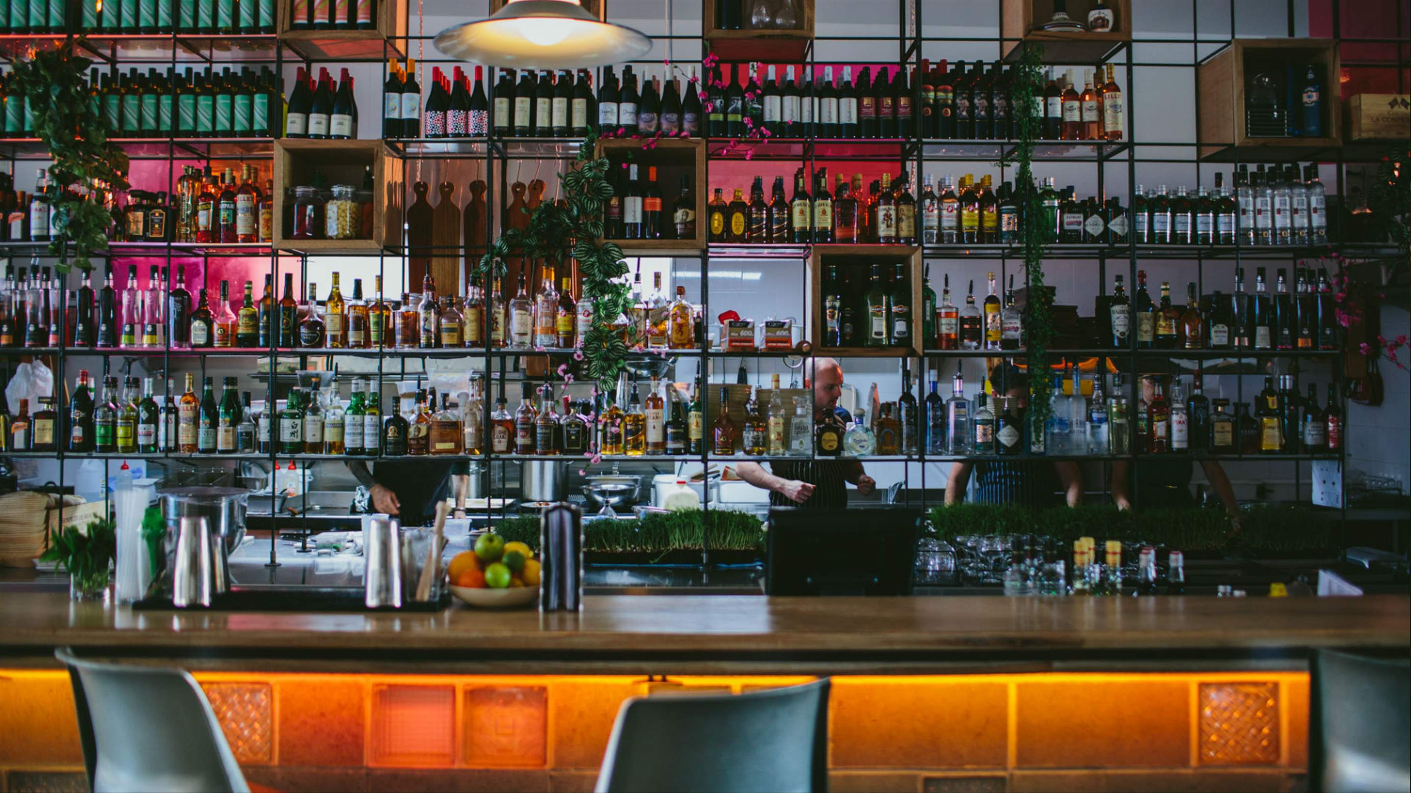 The Standard, Northbridge Review