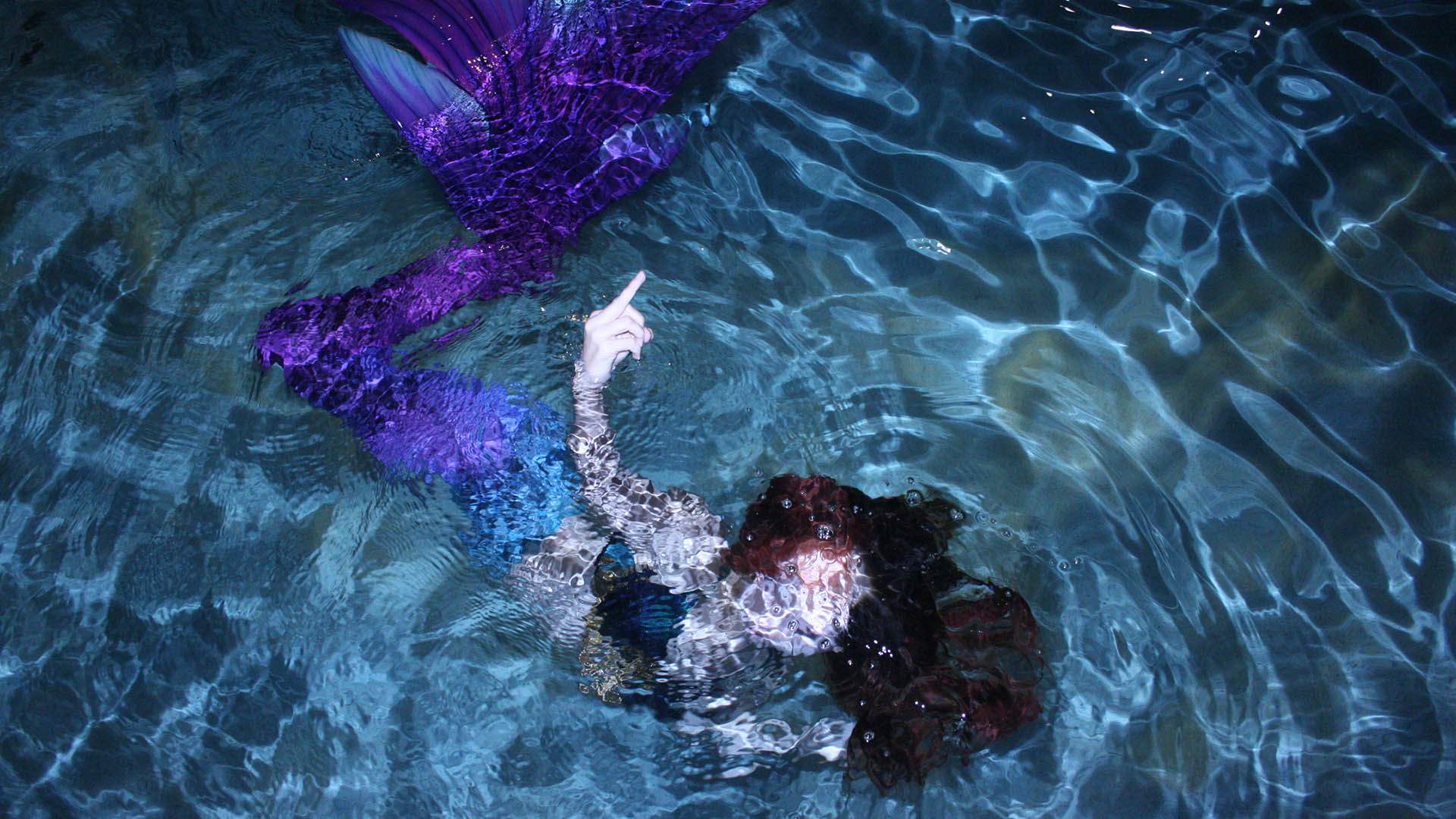 Umami Mermaids - Concrete Playground