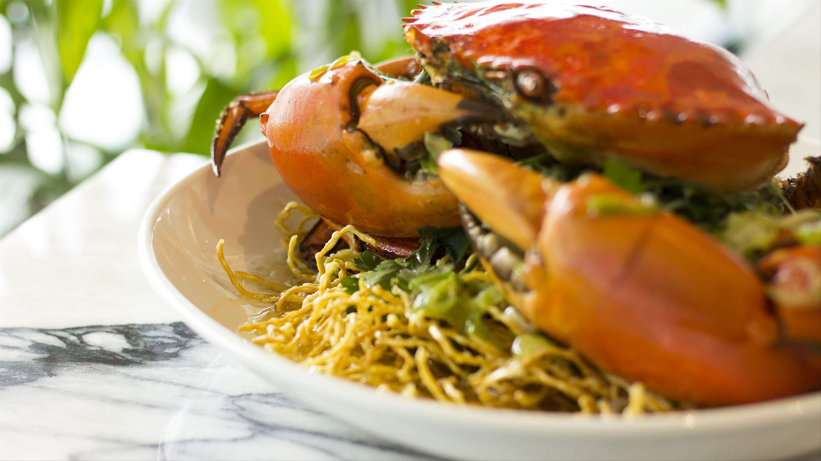 Donna Chang, Brisbane City Review