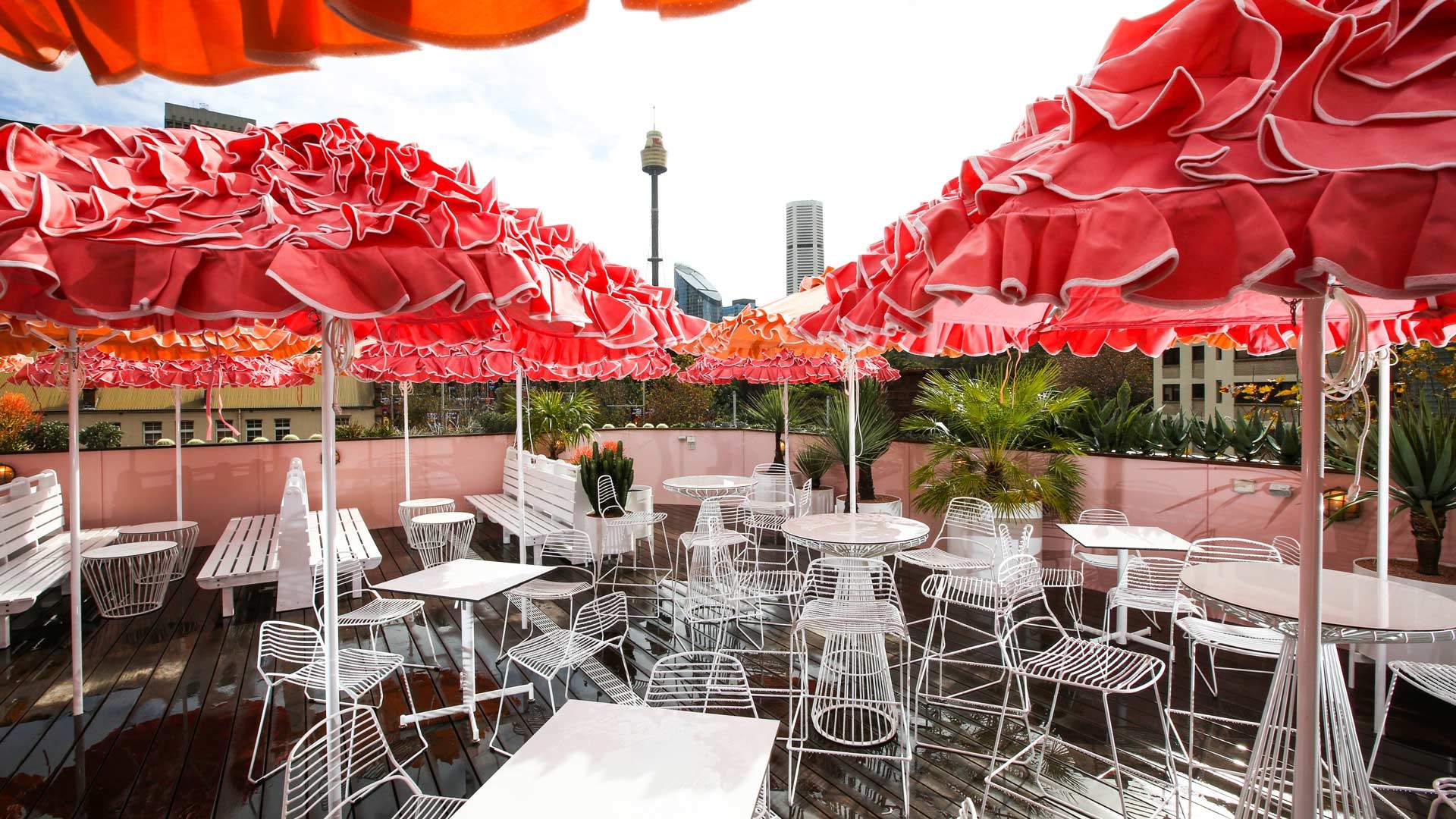 Slims Rooftop, Darlinghurst Review