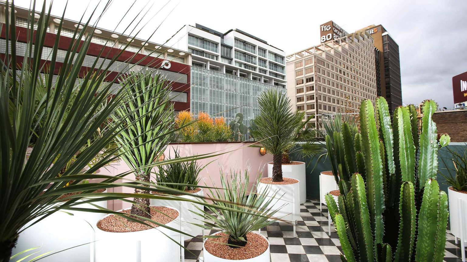 Slims Rooftop, Darlinghurst Review