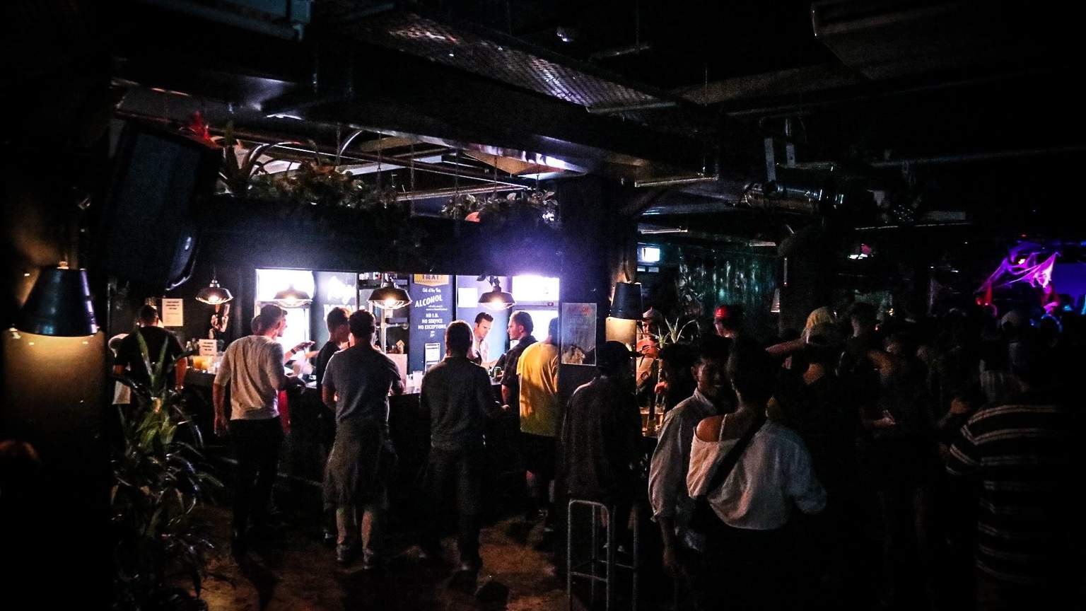 A Guide to Live Music Venues in Auckland - Concrete Playground