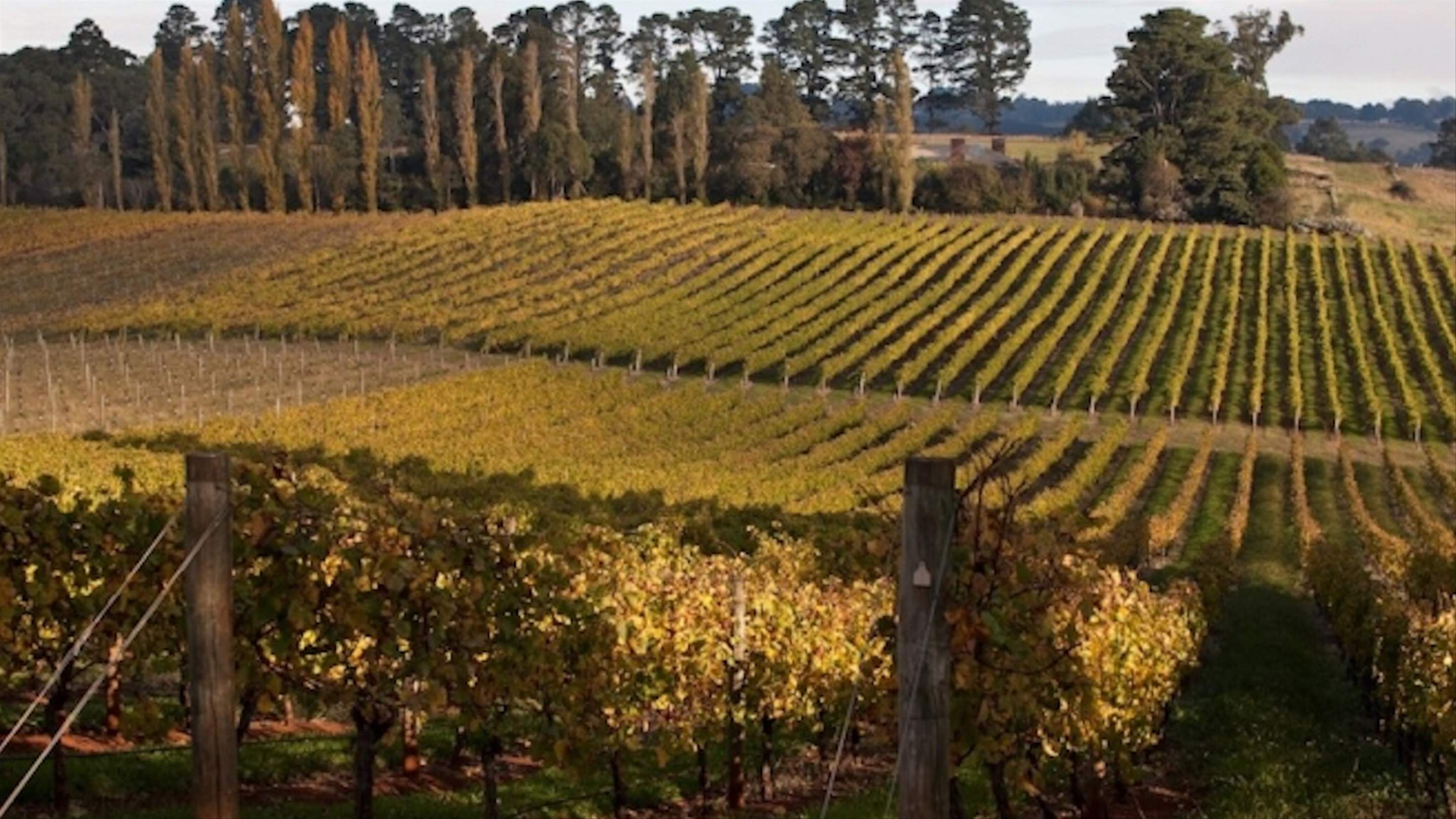 Seville Estate, Seville Review