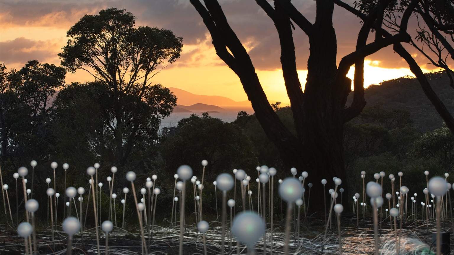 An Immersive New Installation from the Artist Behind Uluru's 'Field of ...