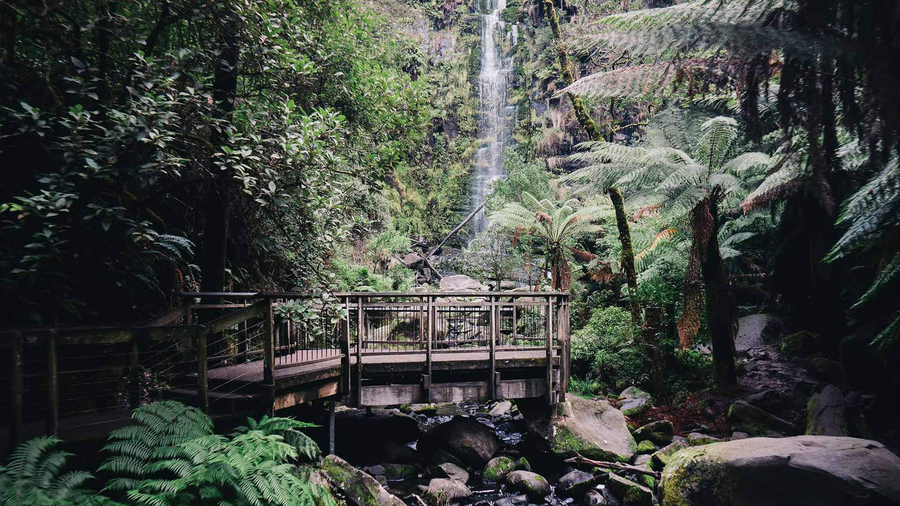 Eight Incredible Ways to Experience Victoria's Surf Coast on Your Next ...