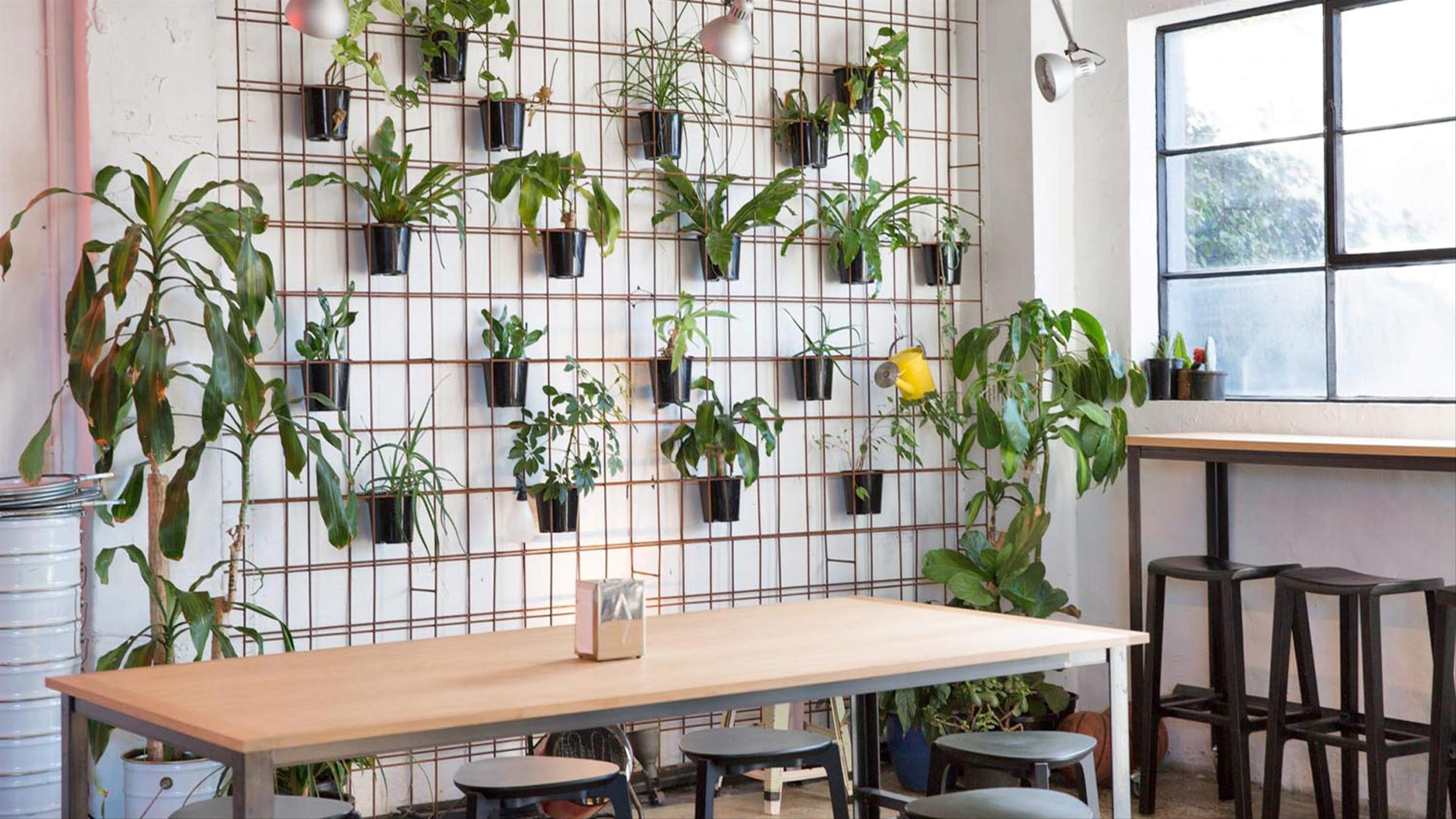 Barrel One Coffee Roasters, Brookvale Review