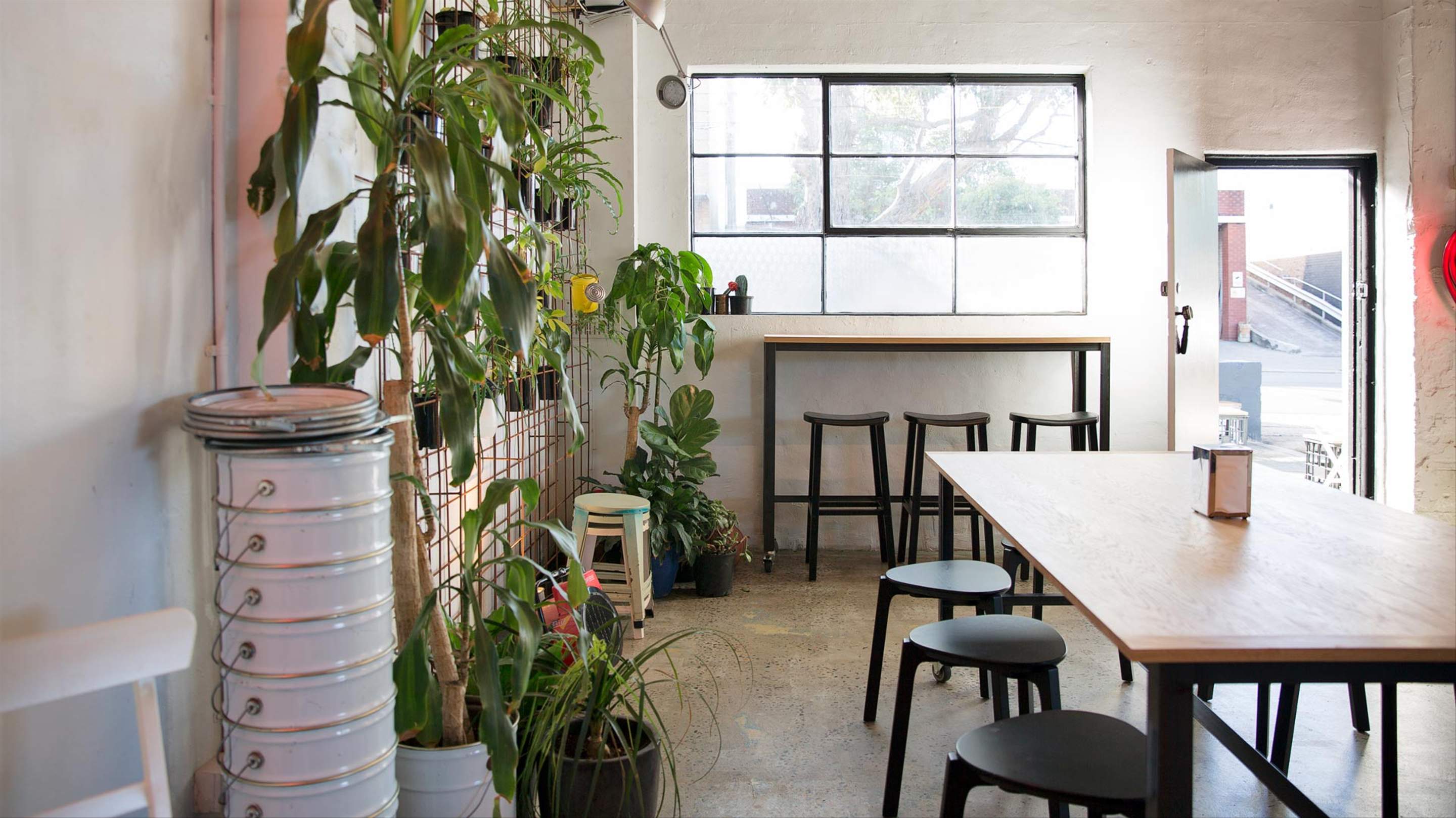 Barrel One Coffee Roasters, Brookvale Review