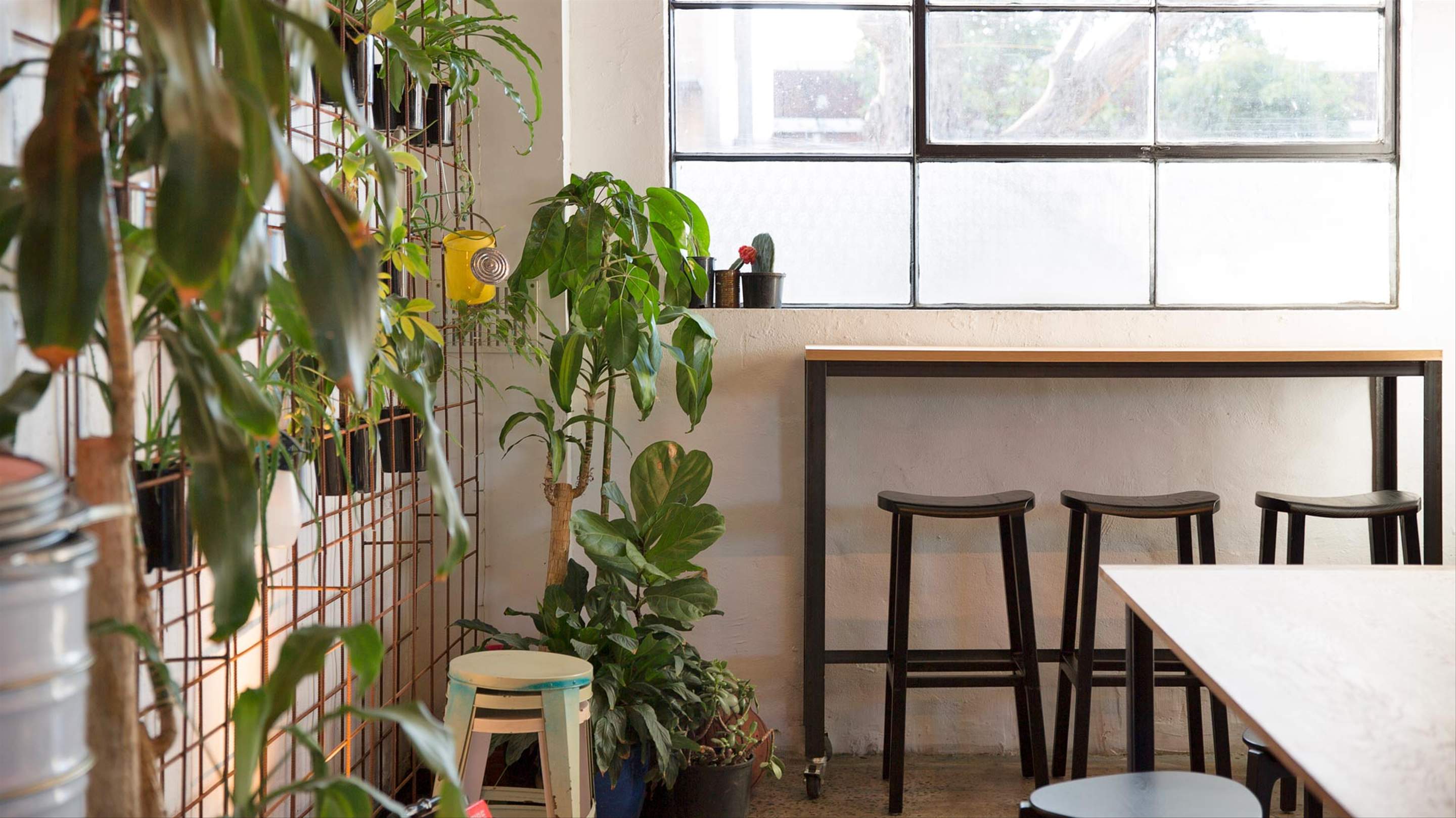 Barrel One Coffee Roasters, Brookvale Review