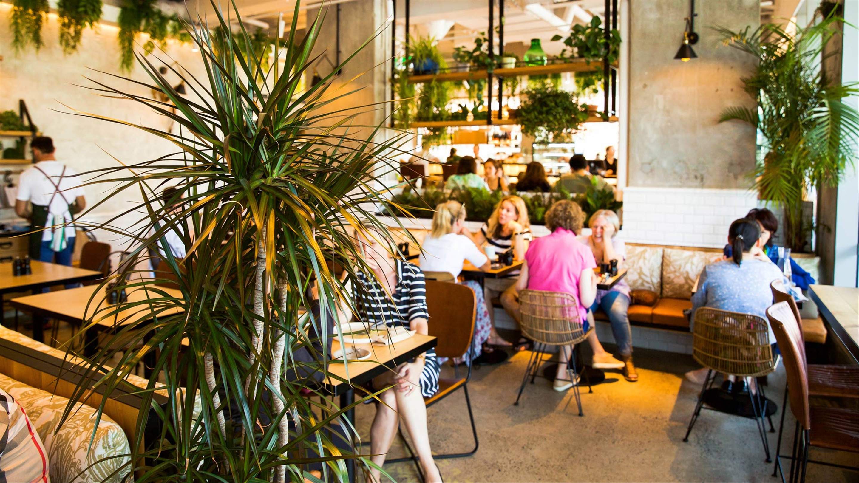 Goodfields Eatery, Lindfield Review