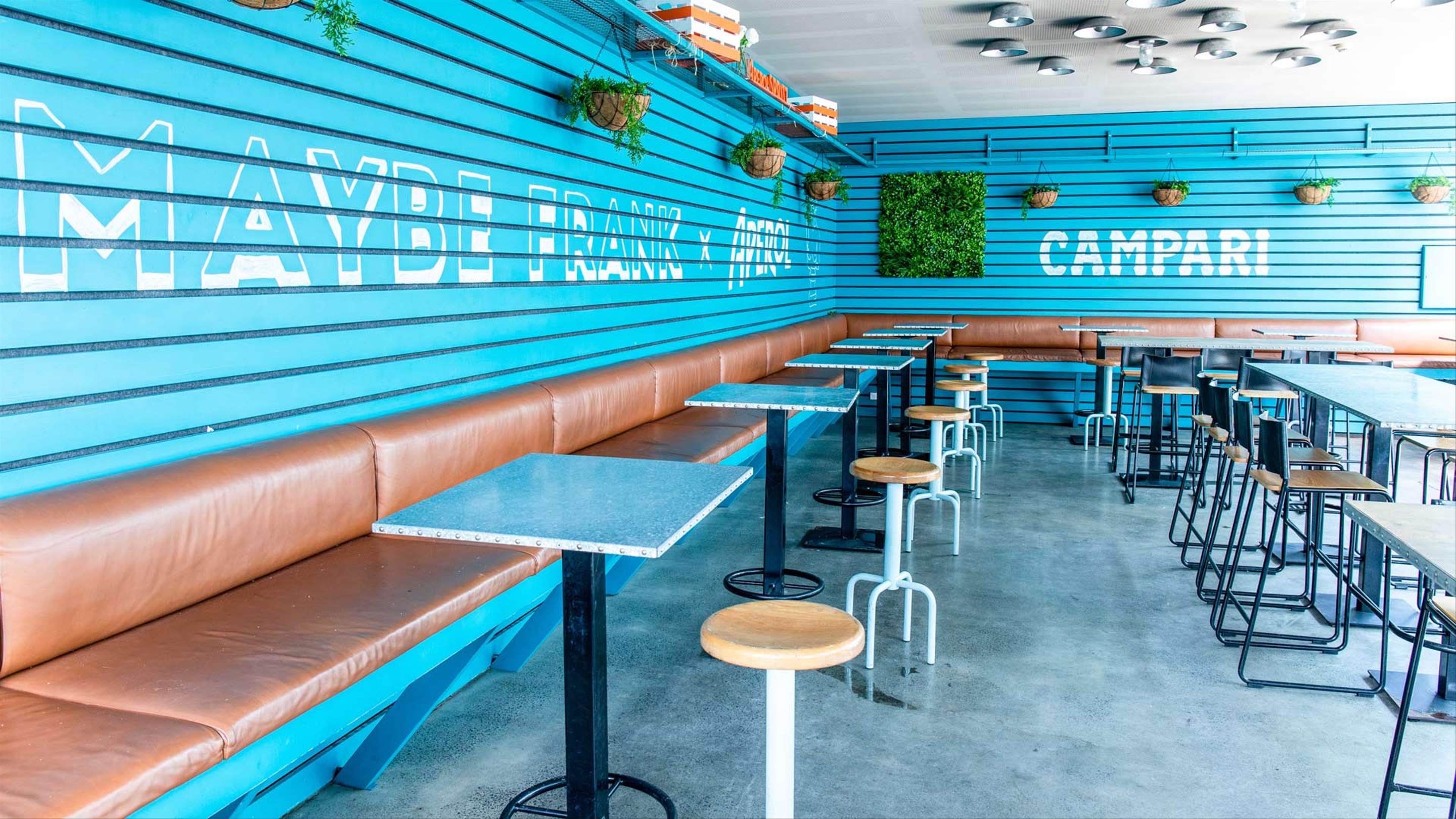 Maybe Frank Pop-Up - Concrete Playground