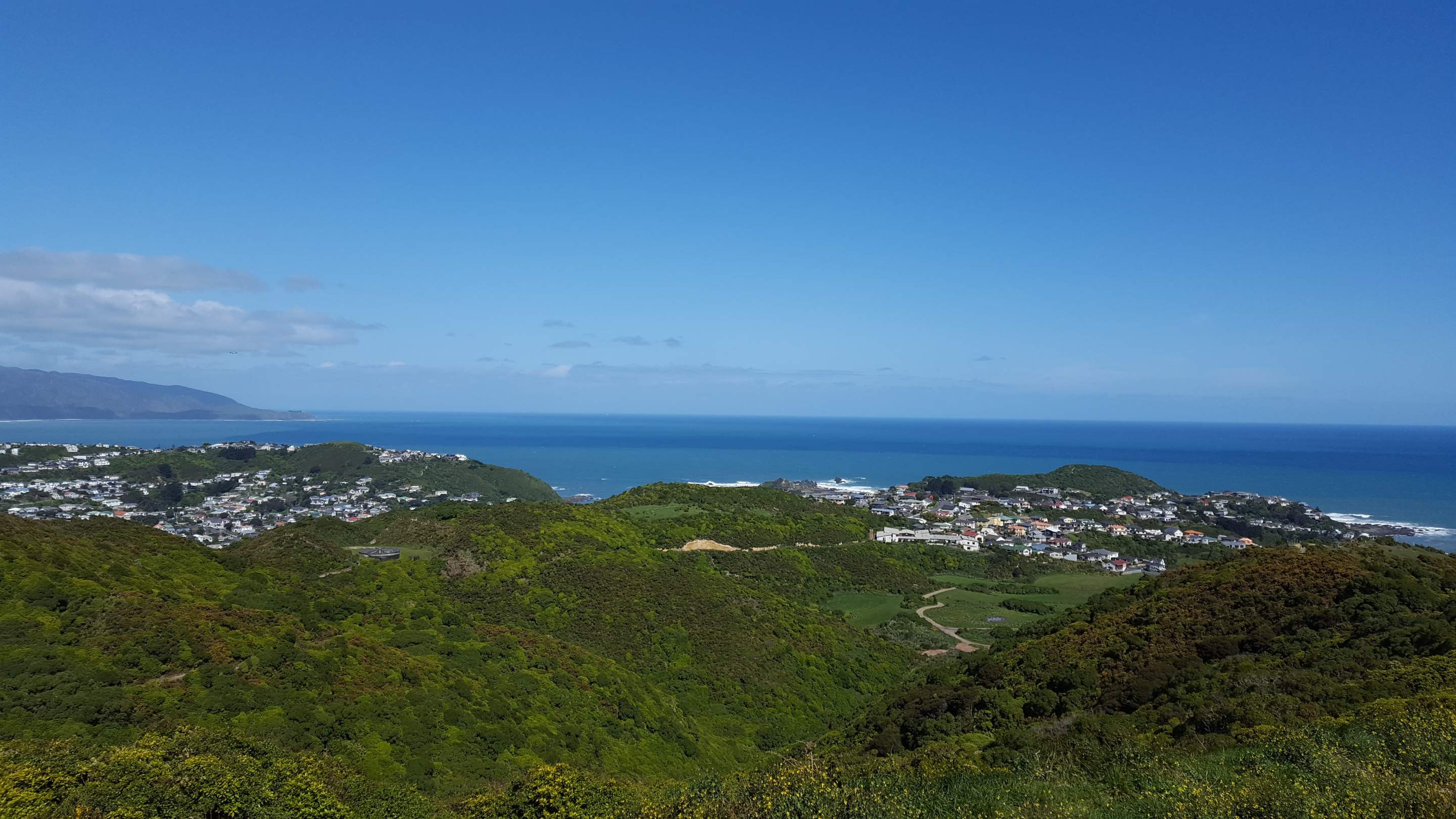 Seven Classic Picnic Spots to Try Around Wellington This Summer ...