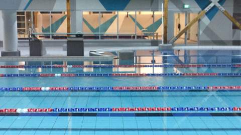 The Five Best Swimming Pools in Wellington - Concrete Playground