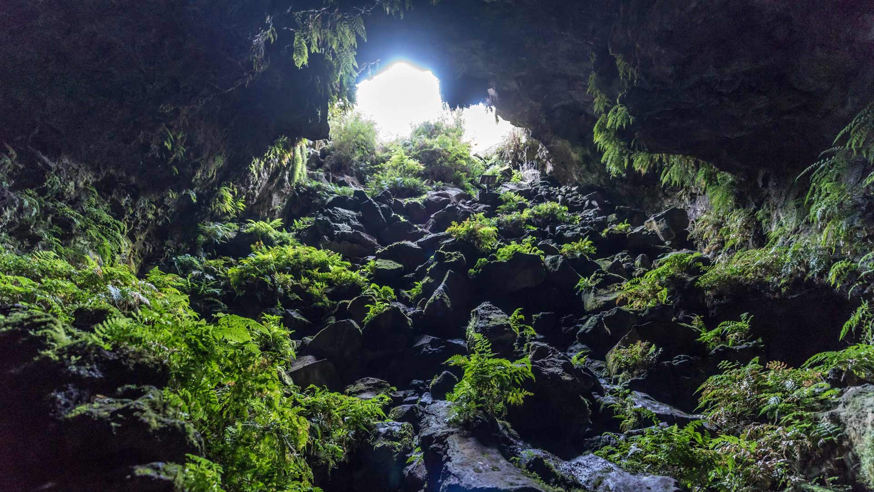 The Seven Best Caves to Visit Near Melbourne