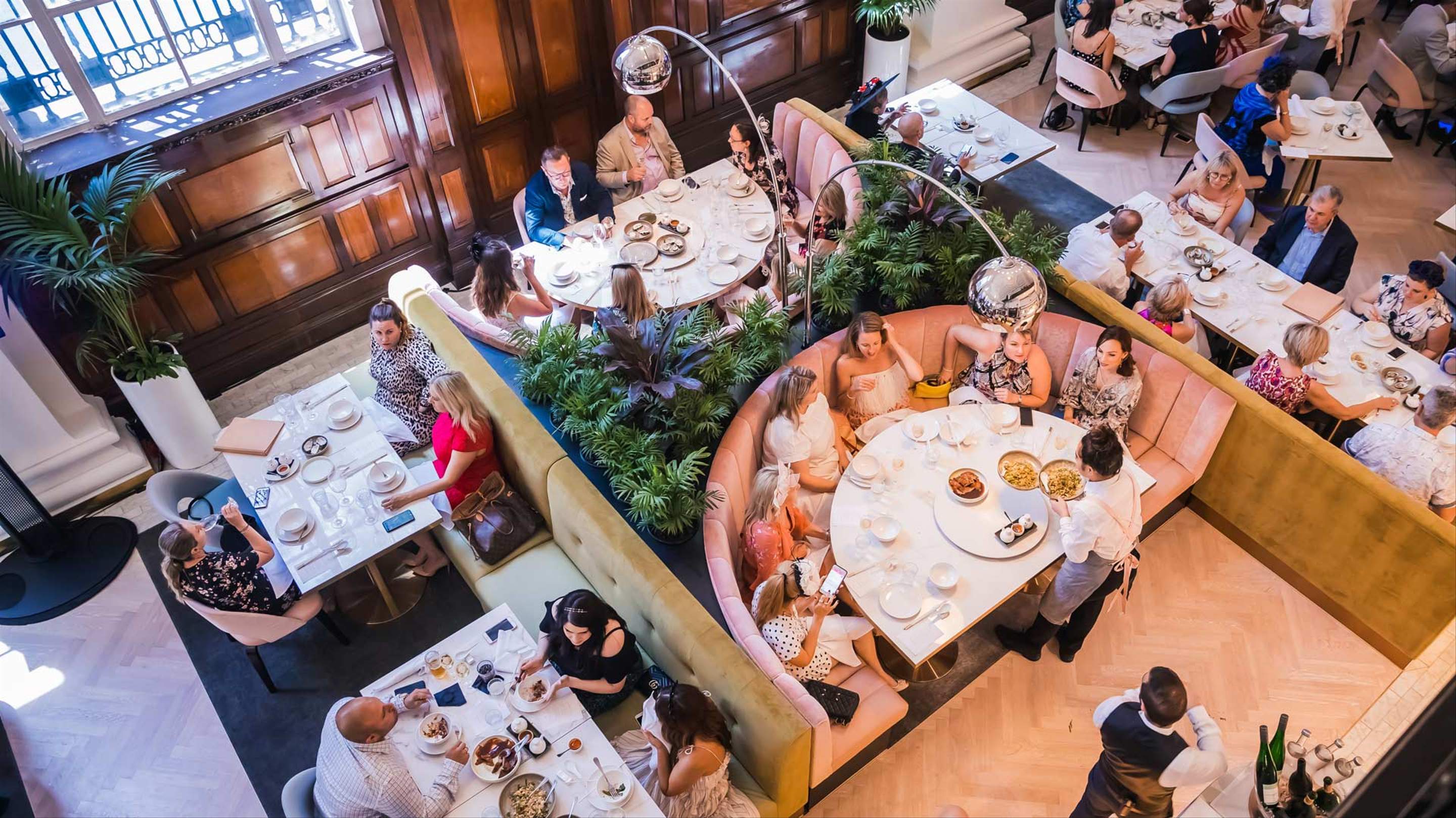 Donna Chang, Brisbane City Review