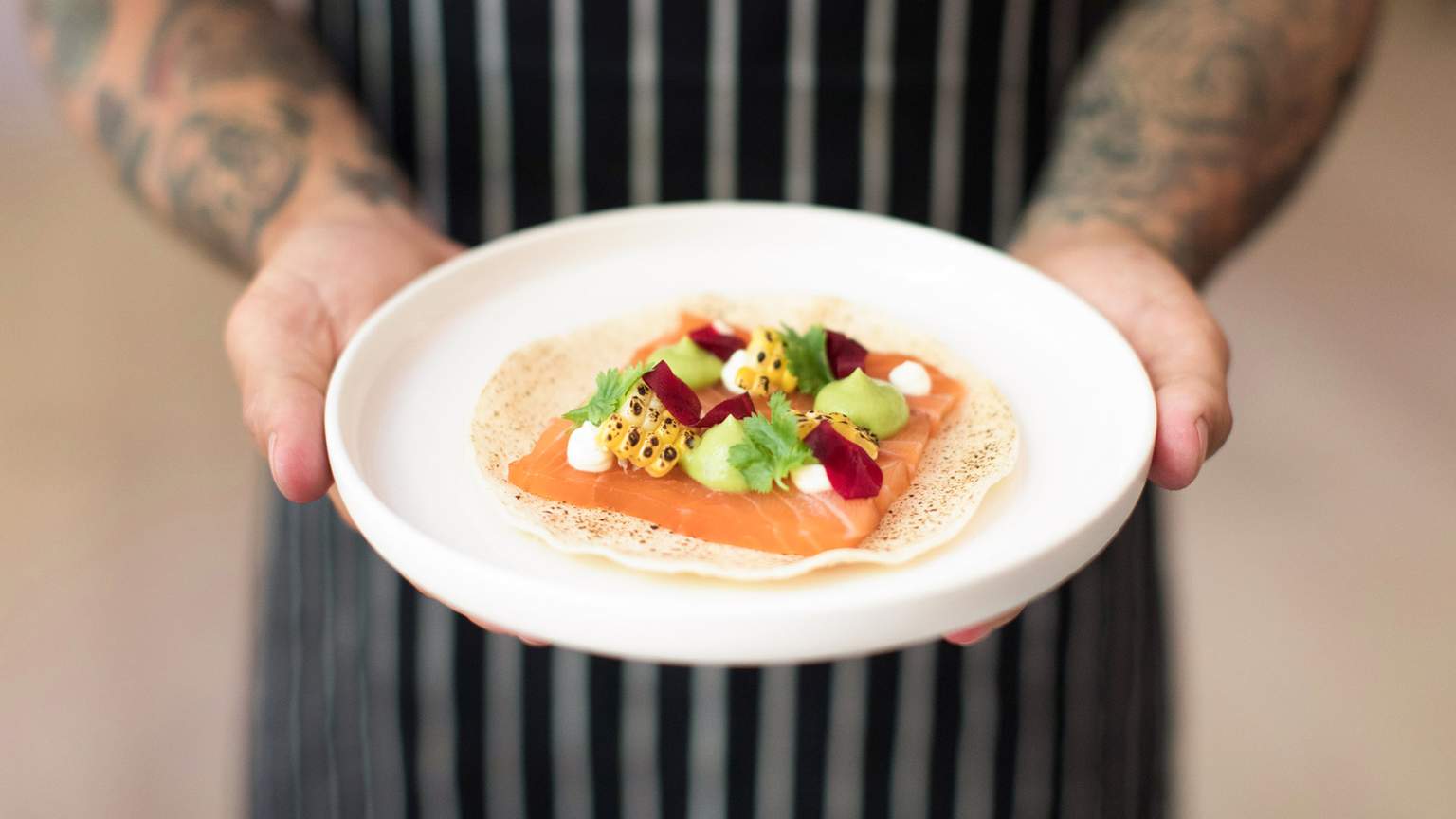 Maybe Sammy, The Rocks Review