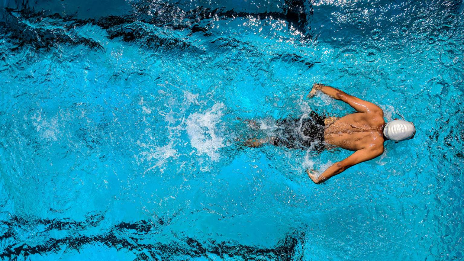 The Five Best Swimming Pools in Wellington - Concrete Playground