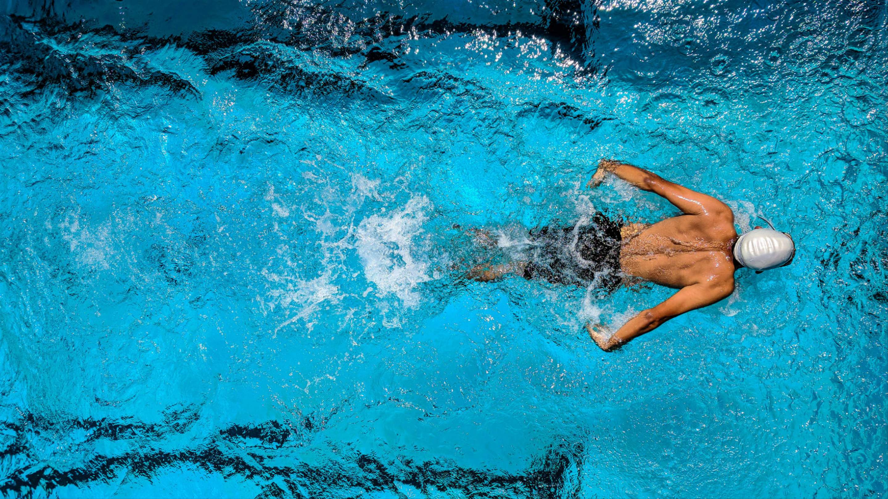 The Five Best Swimming Pools in Wellington - Concrete Playground