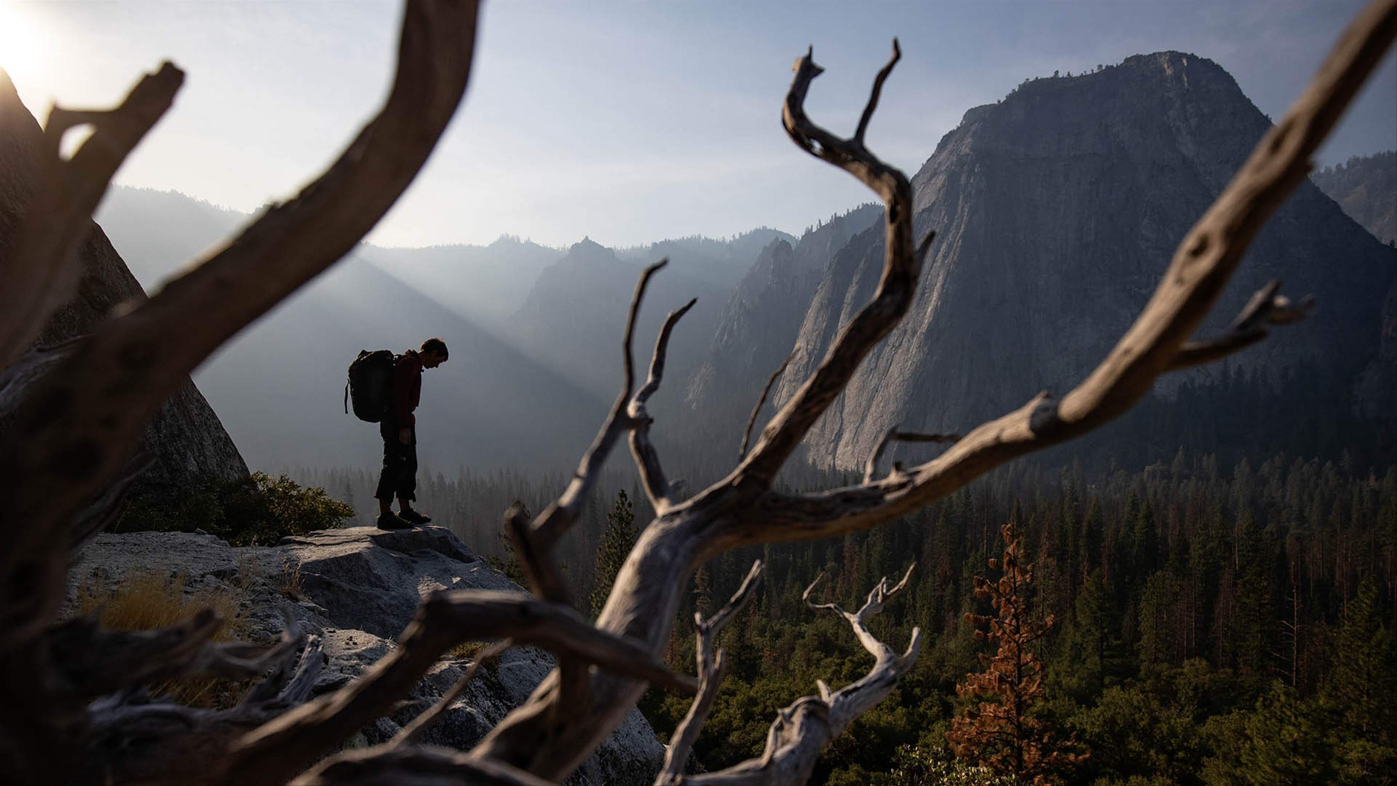 How Alex Honnold Climbed Yosemite's El Capitan for 'Free Solo'