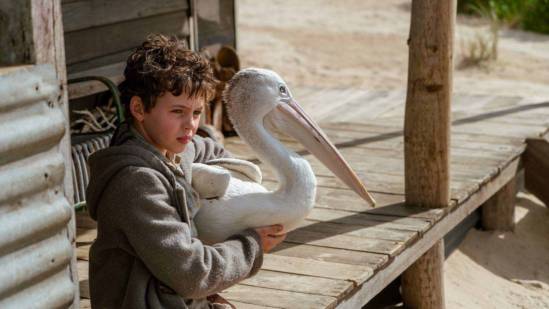 Storm Boy, Melbourne