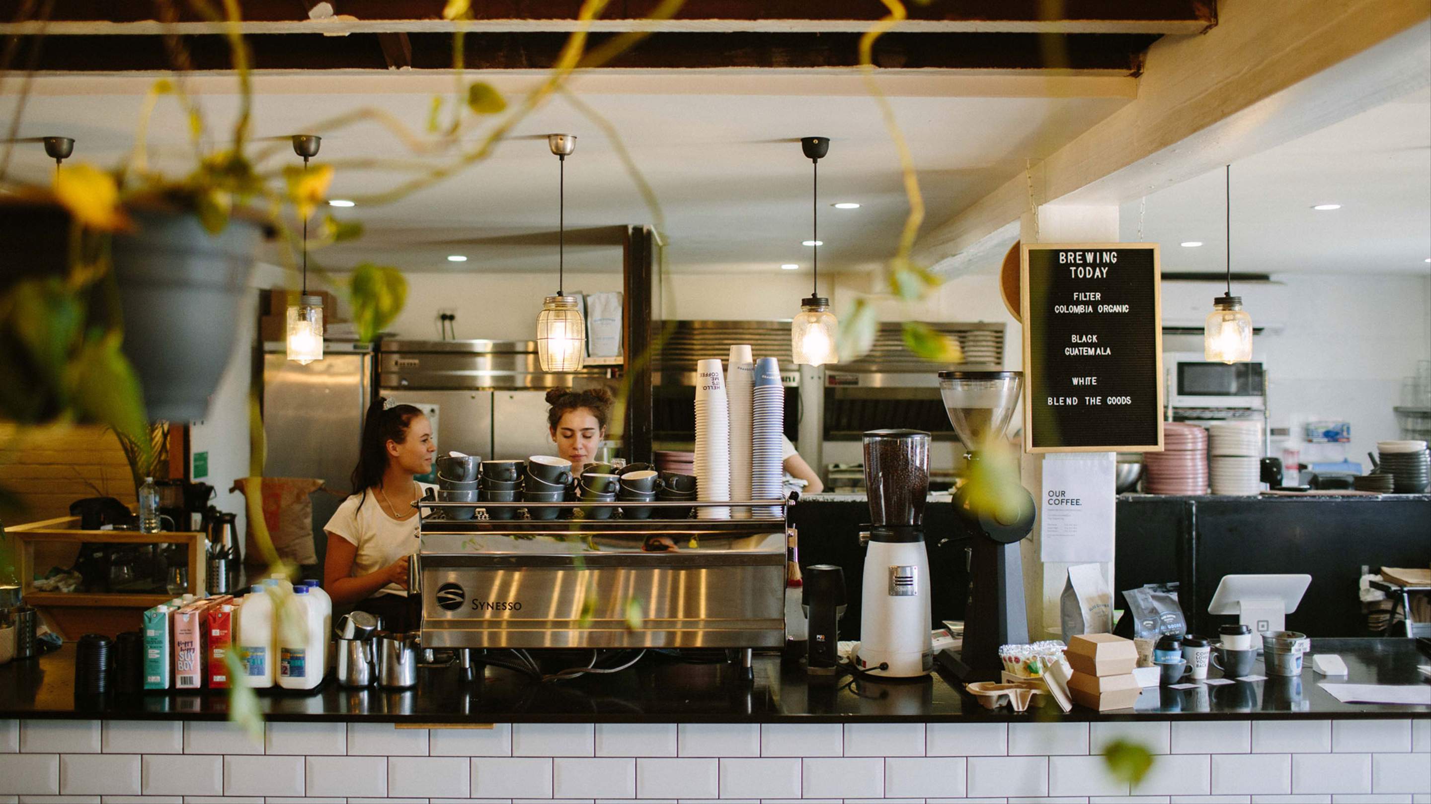 Glee Coffee Roasters Chapman, Wyong Review