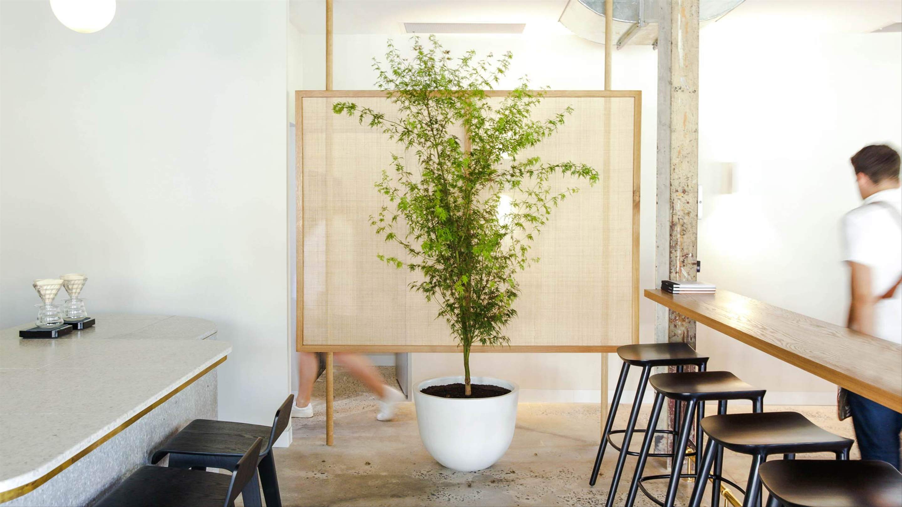 Went to See the Gypsy - CLOSED, Alexandria Review