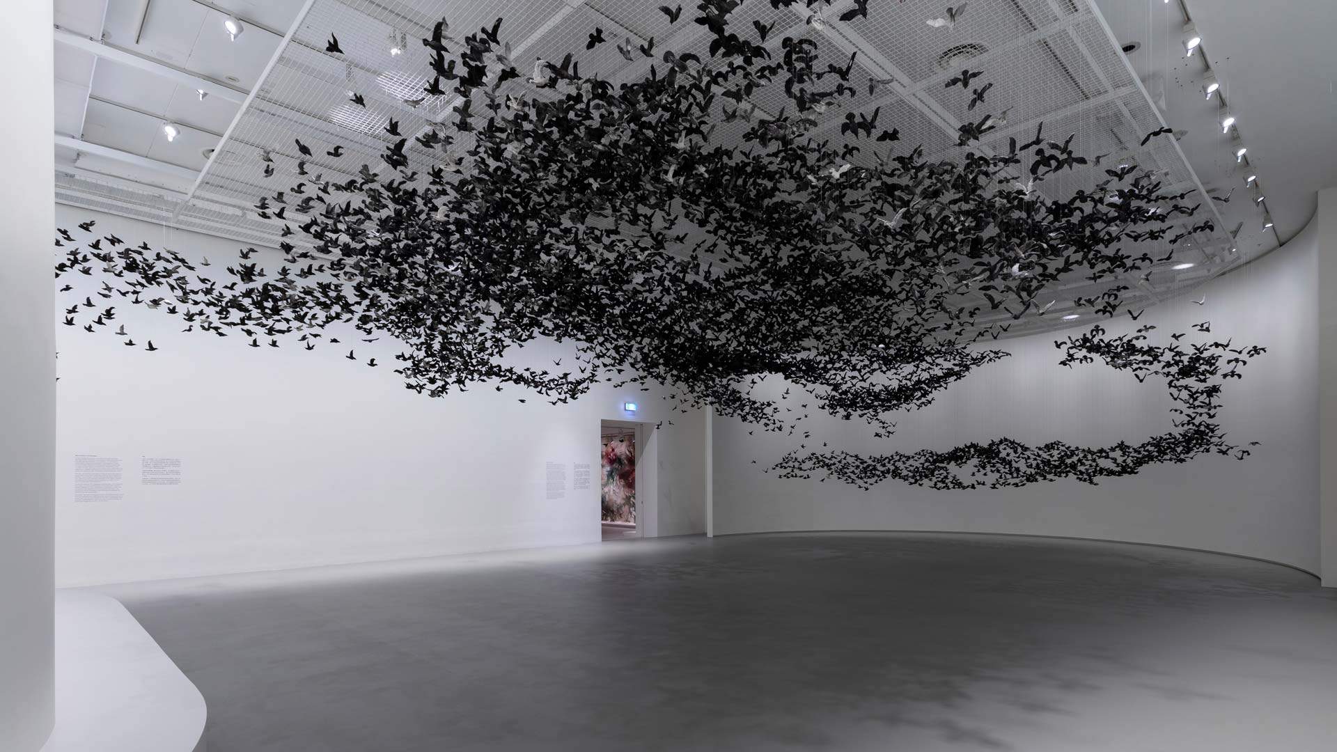 Cai Guo-Qiang: The Transient Landscape, Melbourne