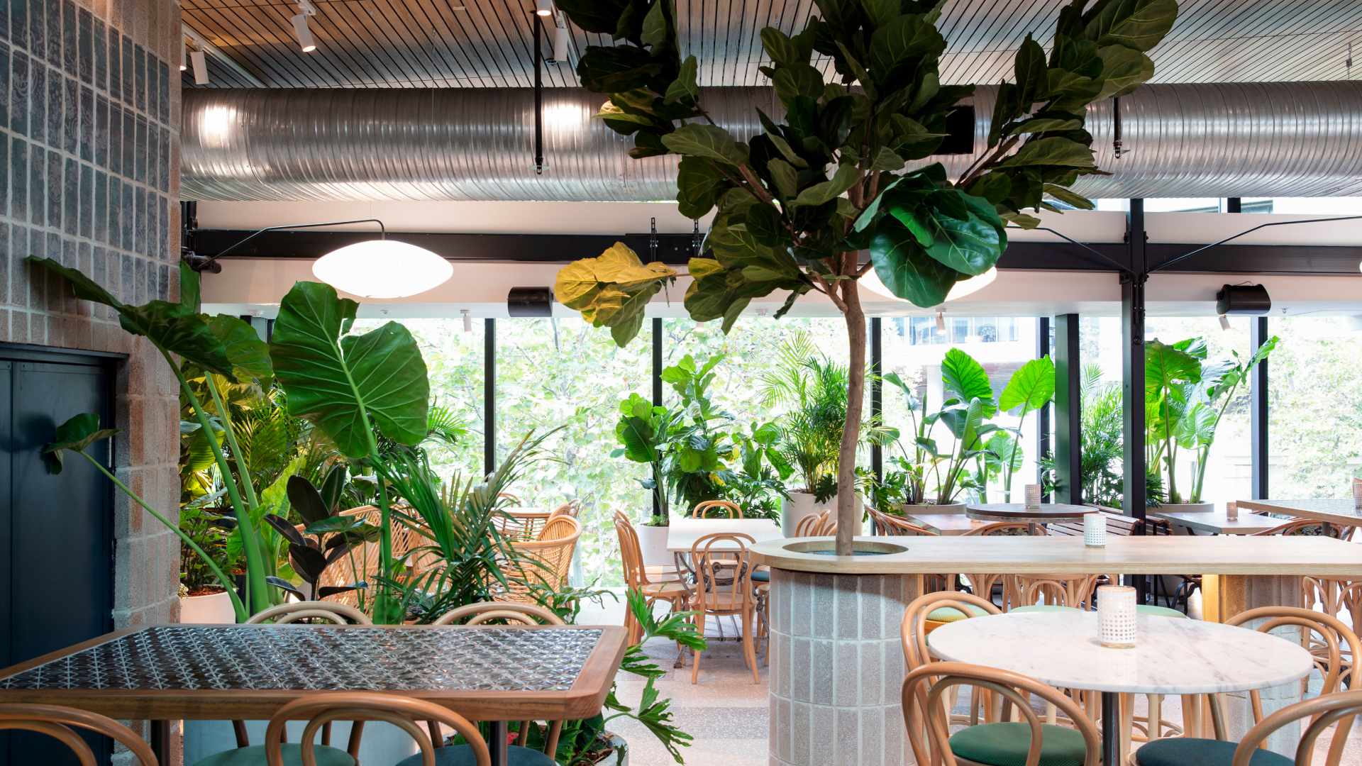 Green Moustache, North Sydney Review