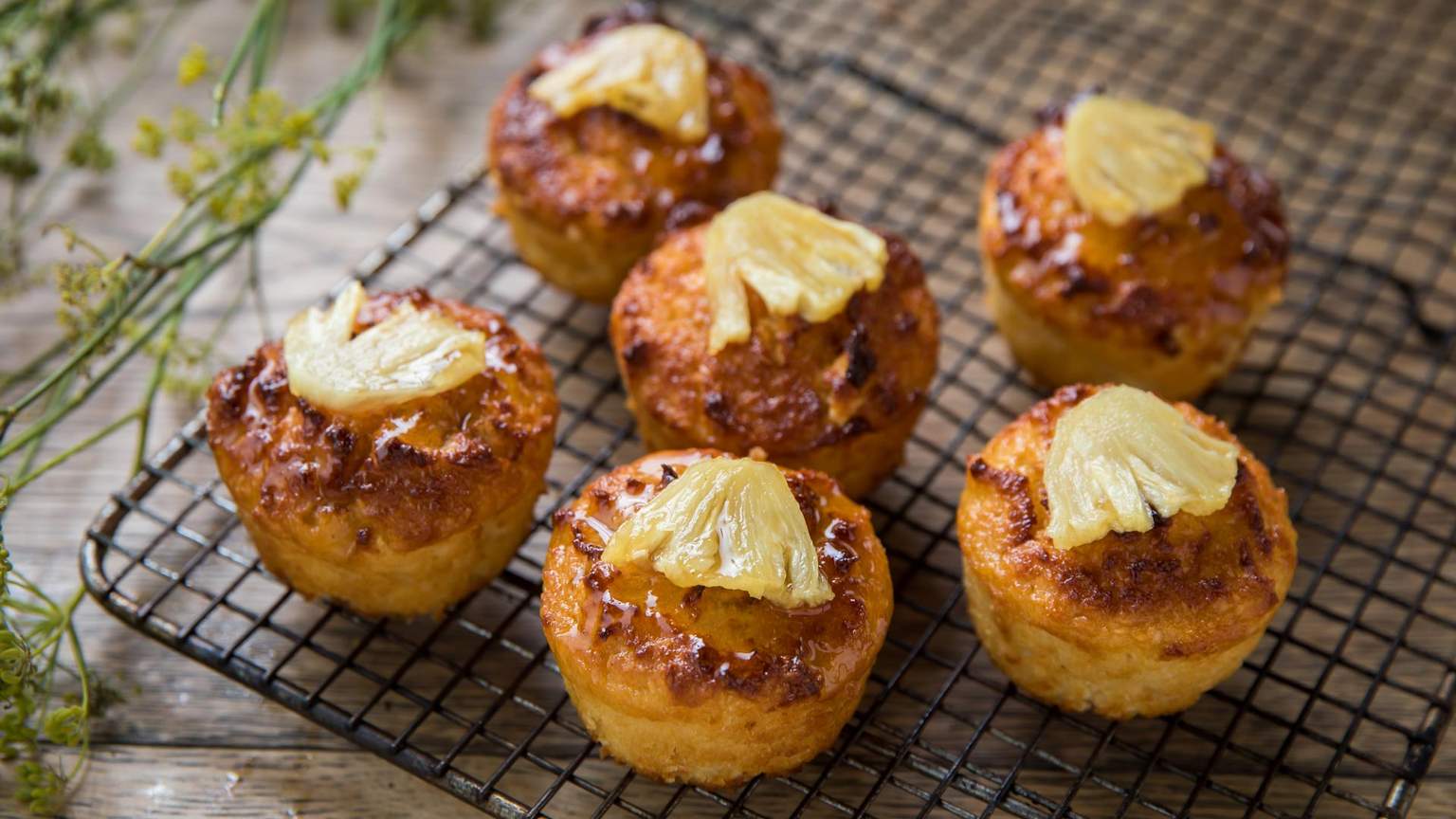 MCA Cafe, Sydney Review