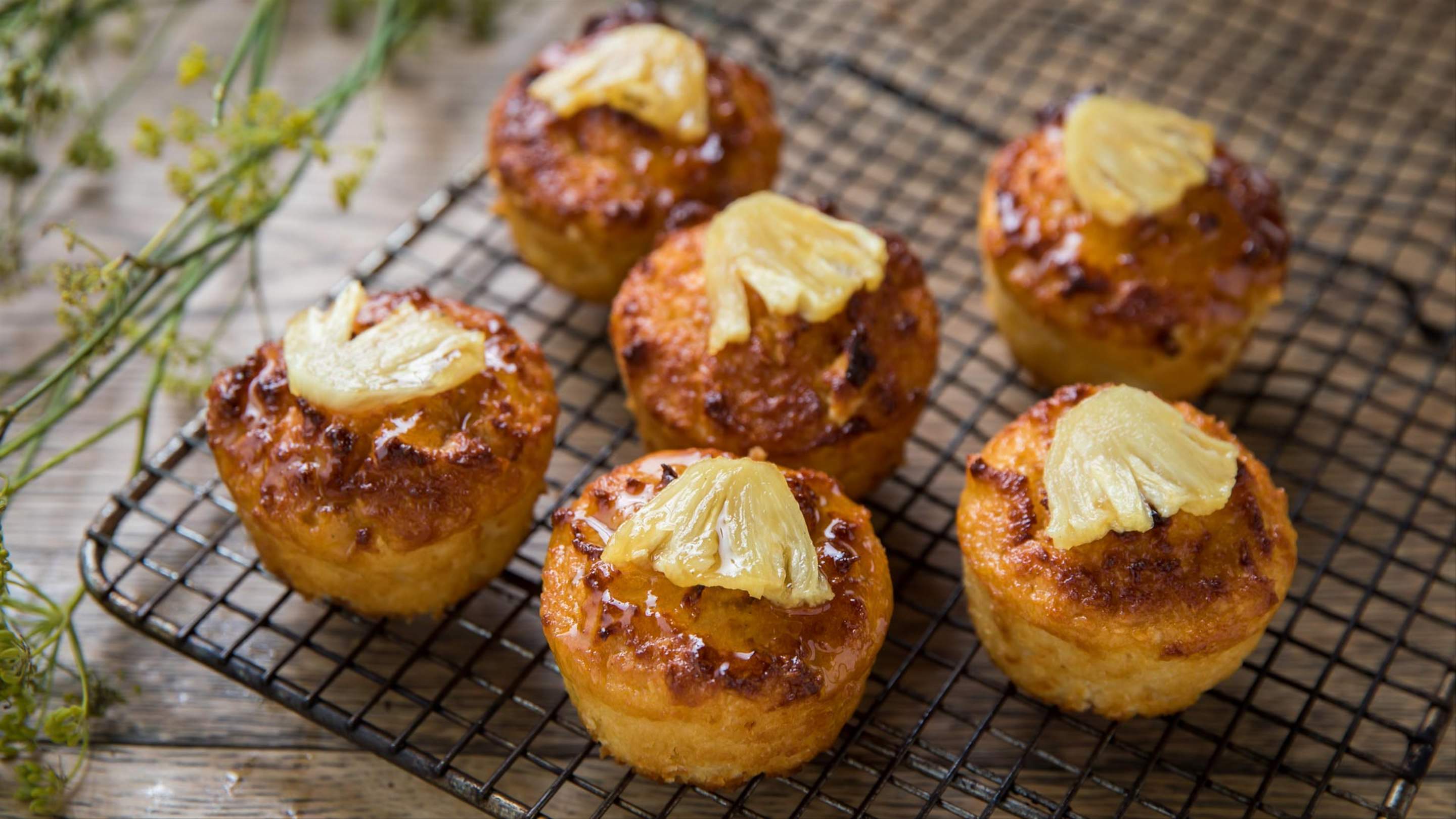 MCA Cafe, Sydney Review