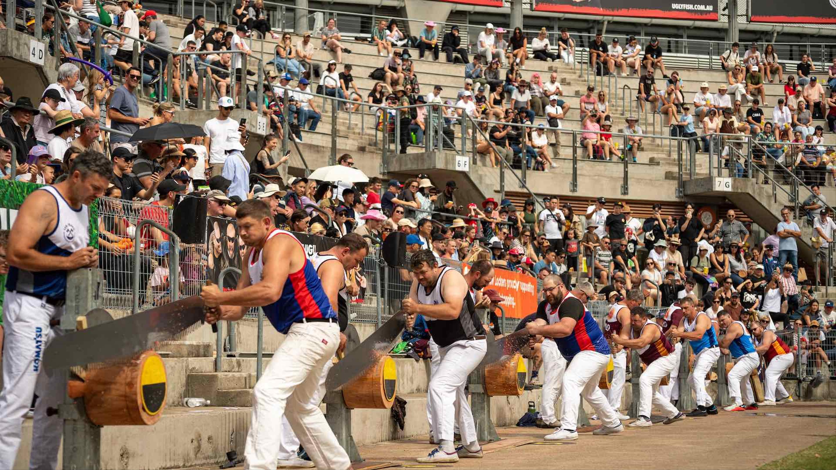 2025 Sydney Royal Easter Show - Concrete Playground
