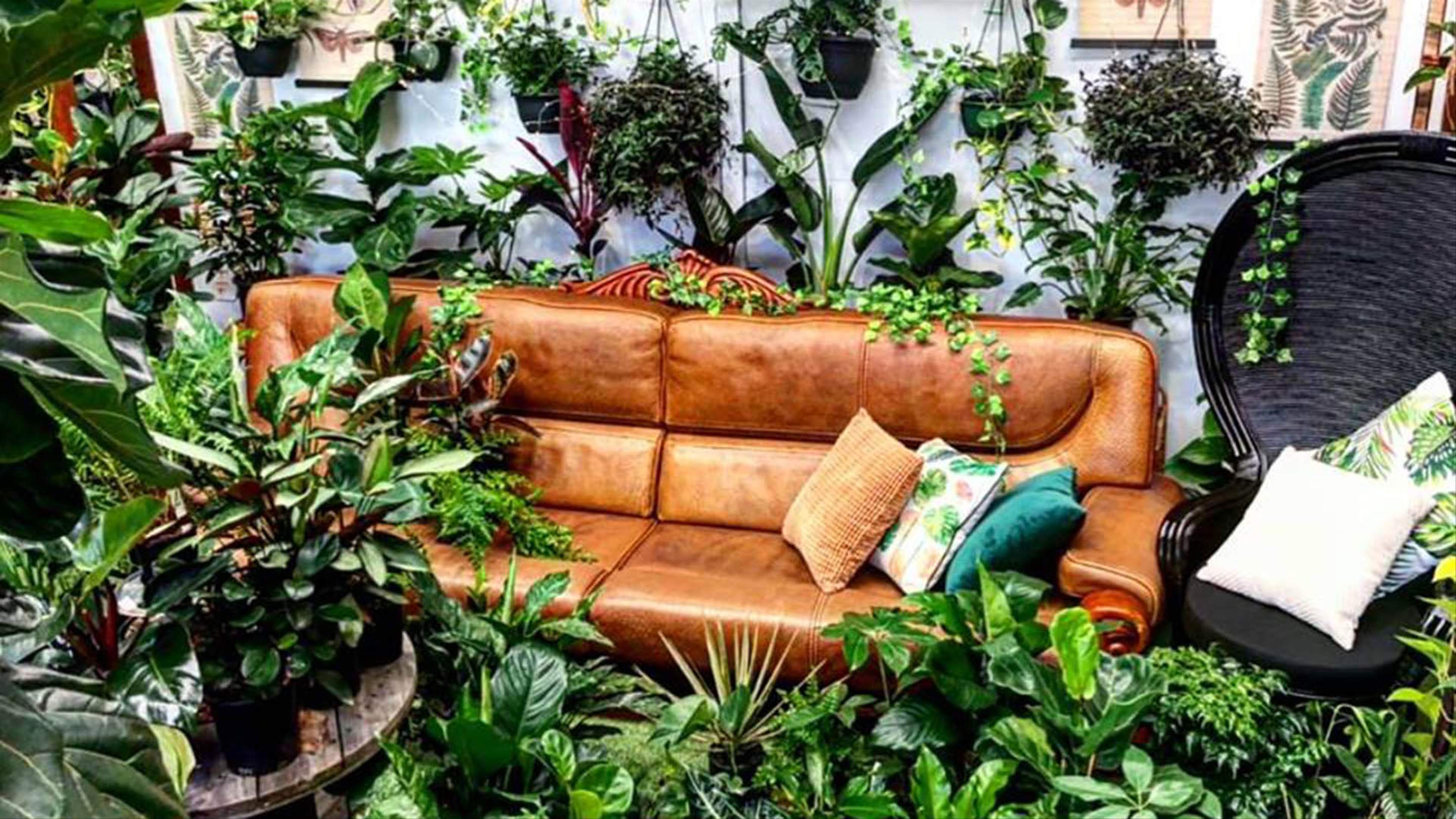 Christmas Twilight Market at VEND Virginia, Brisbane: All the Details