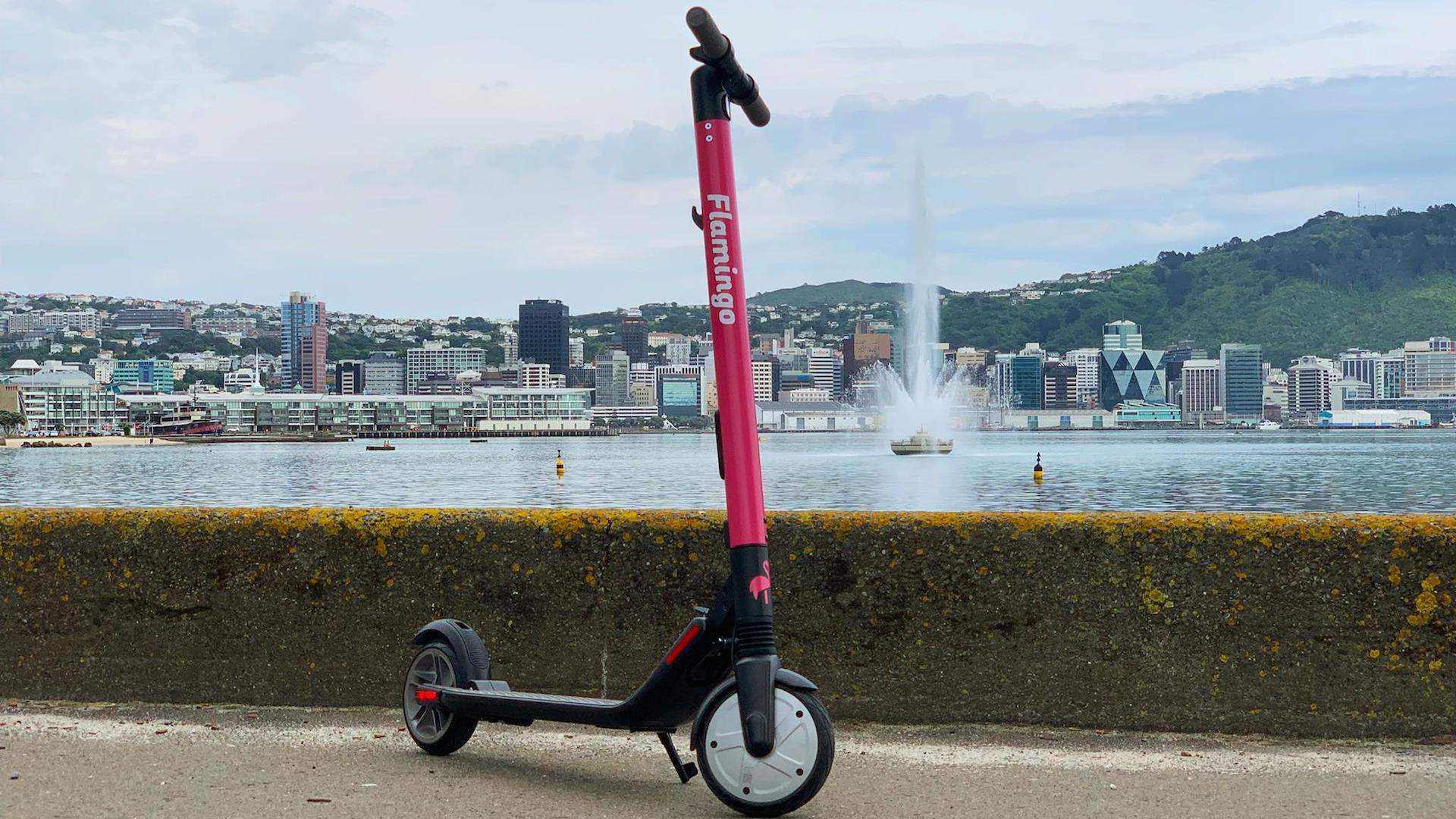 Another Dockless Electric Scooter Service Has Launched in Auckland ...