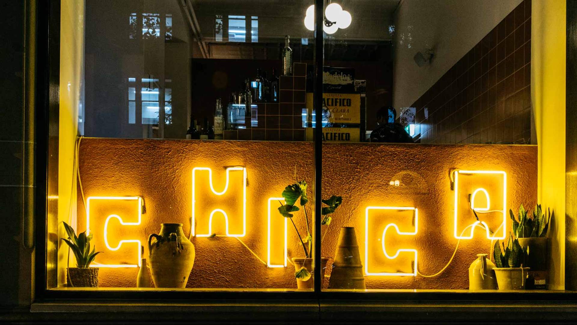 Taco Tuesday - Concrete Playground