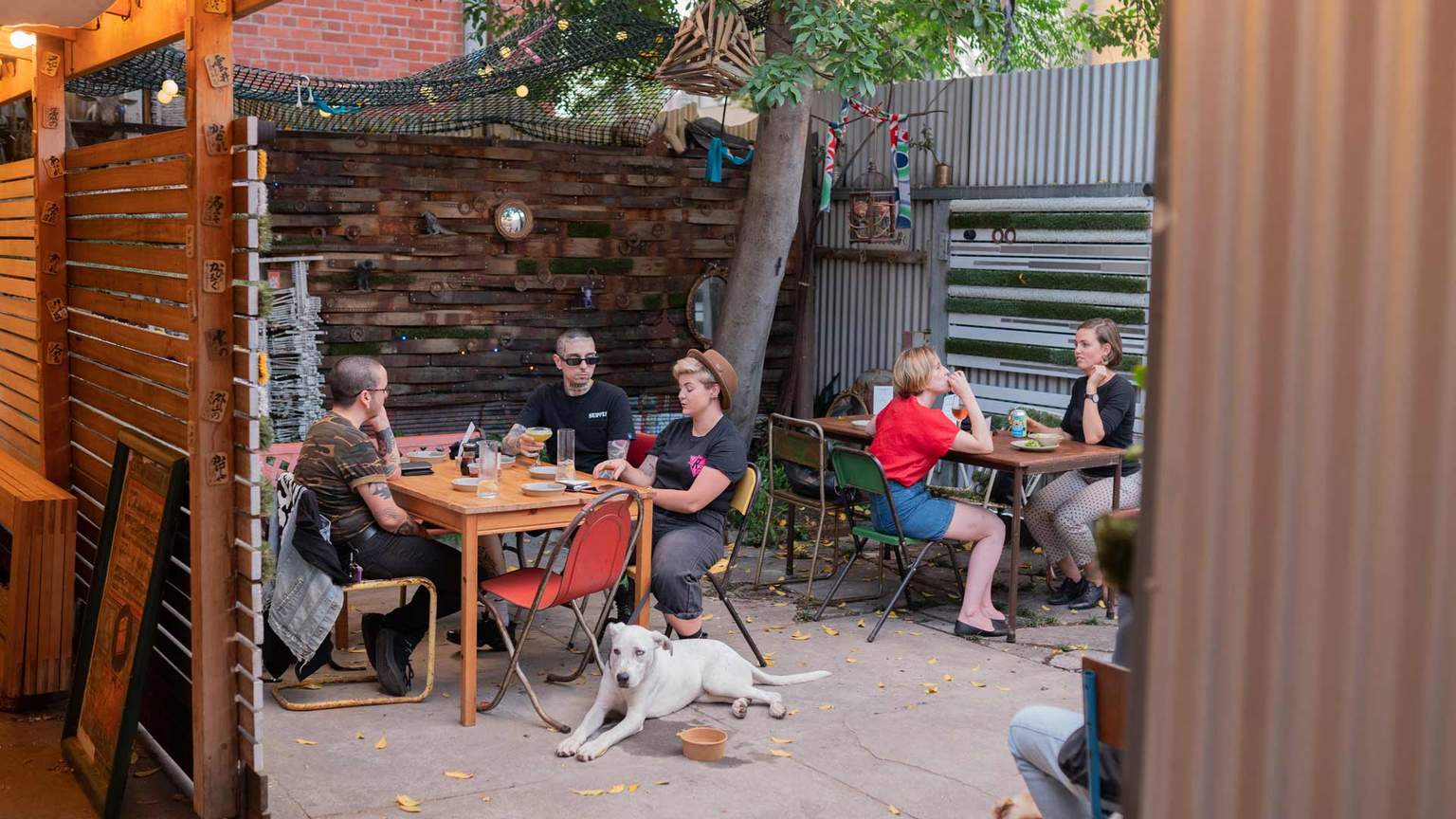 Chotto Motto, Collingwood Review