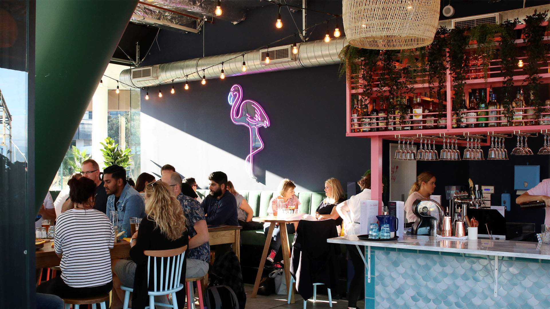 Flamingo Joe's, Wellington Review