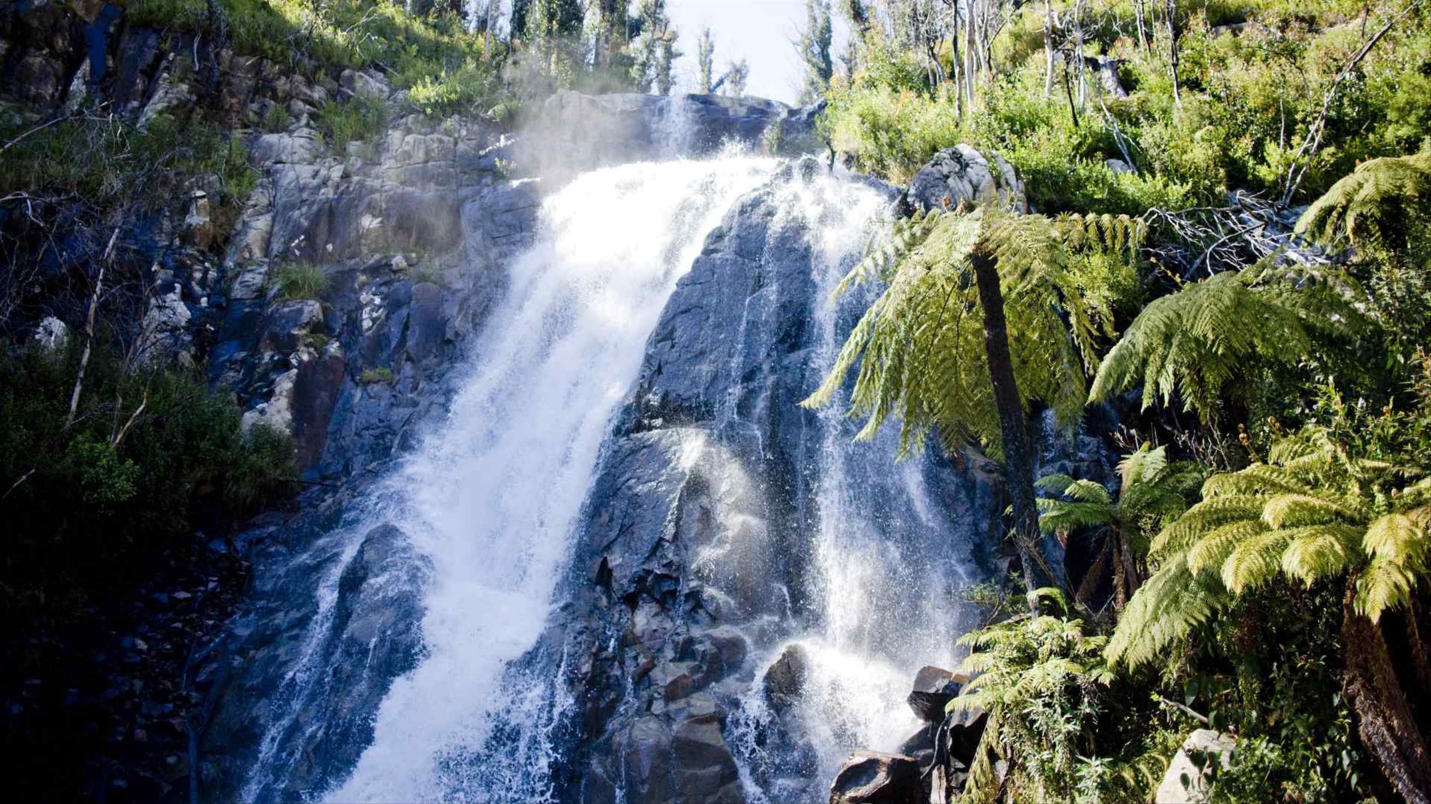 Five Spectacular Waterfalls to Visit Near Melbourne - Concrete Playground