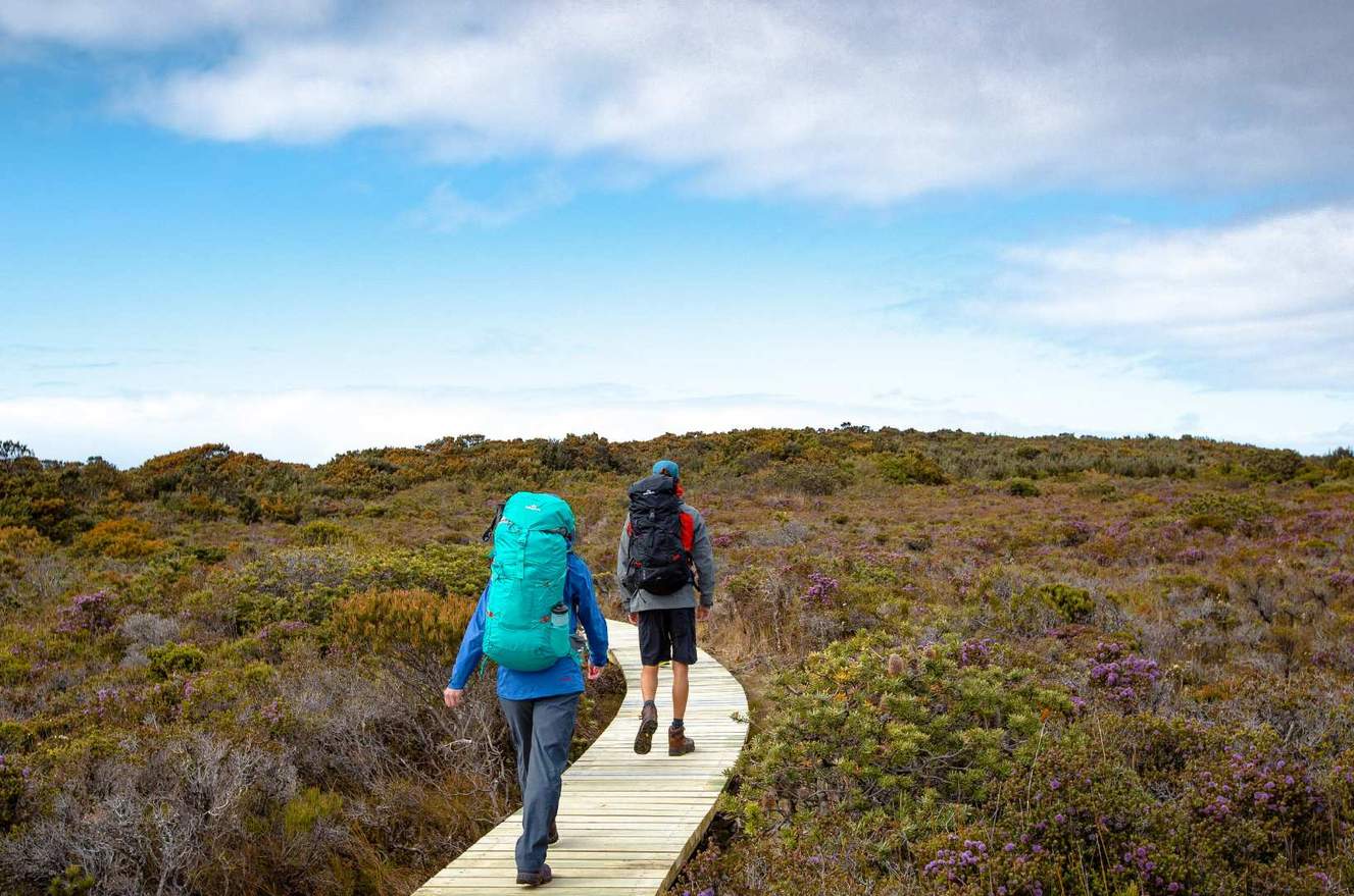 Three Capes Track - Concrete Playground